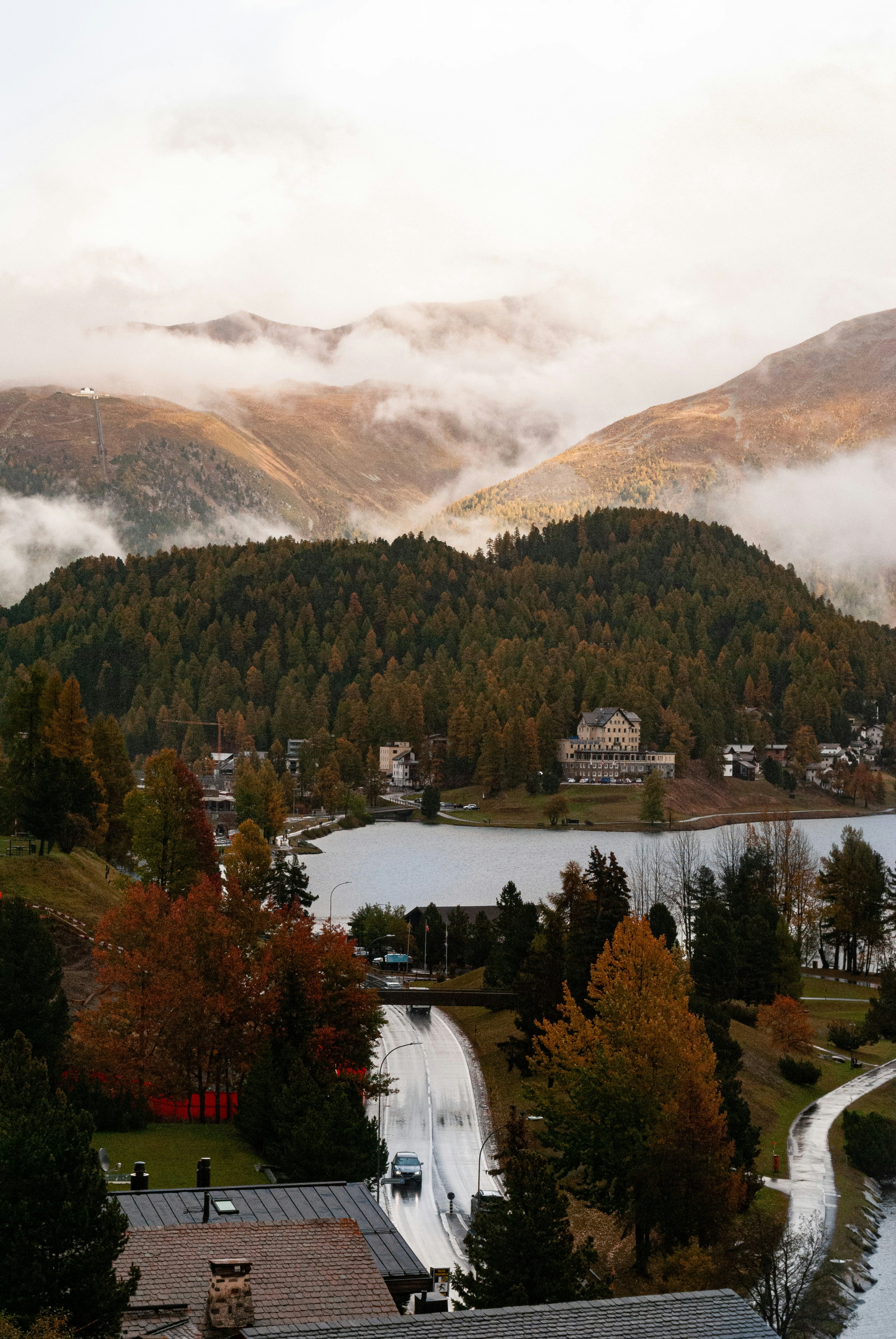 Mist-Wrapped Lakefront Village Amid Autumn Pines