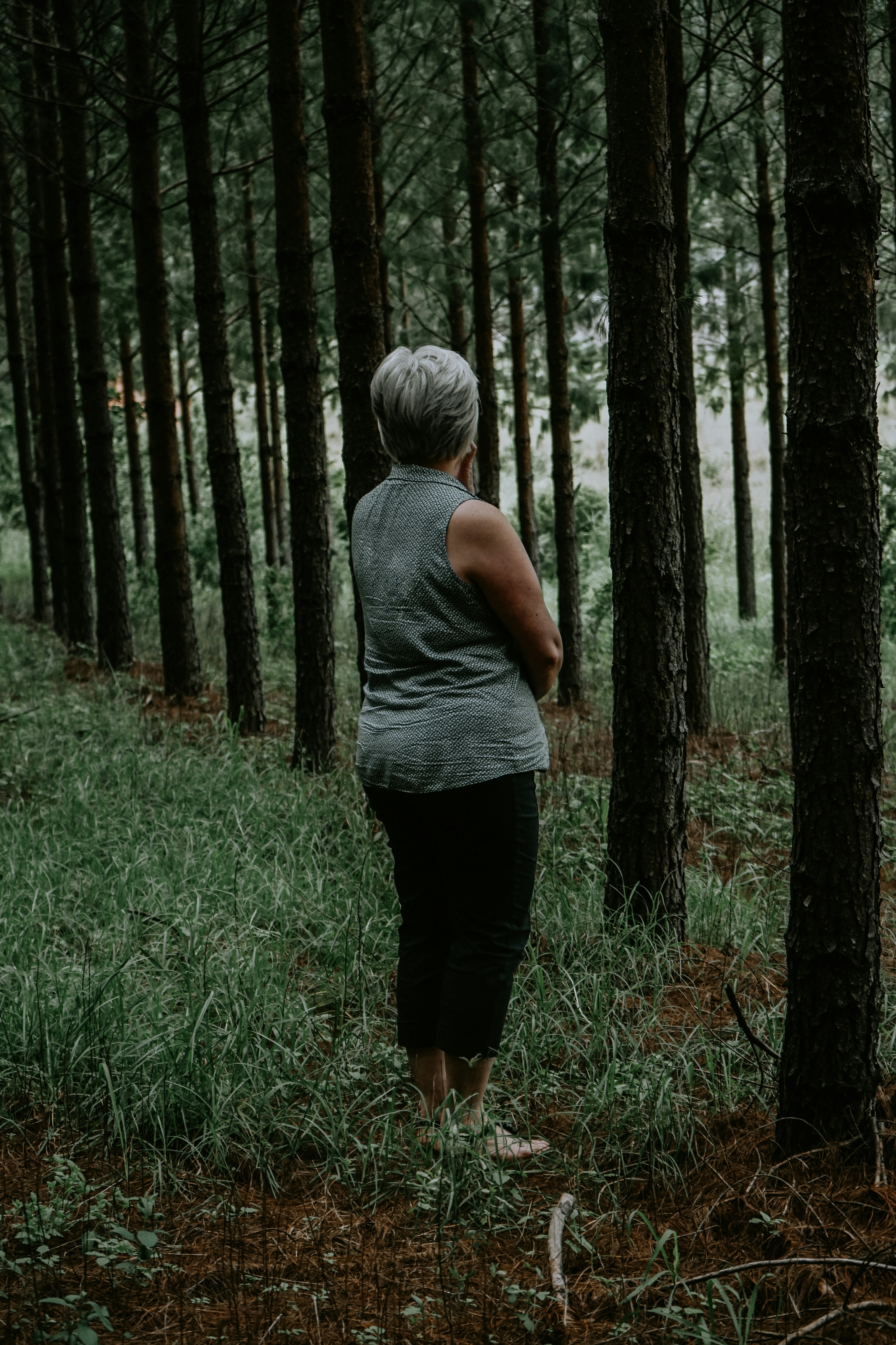 A woman standing in a forest looking at trees photo – Free Newcastle ...