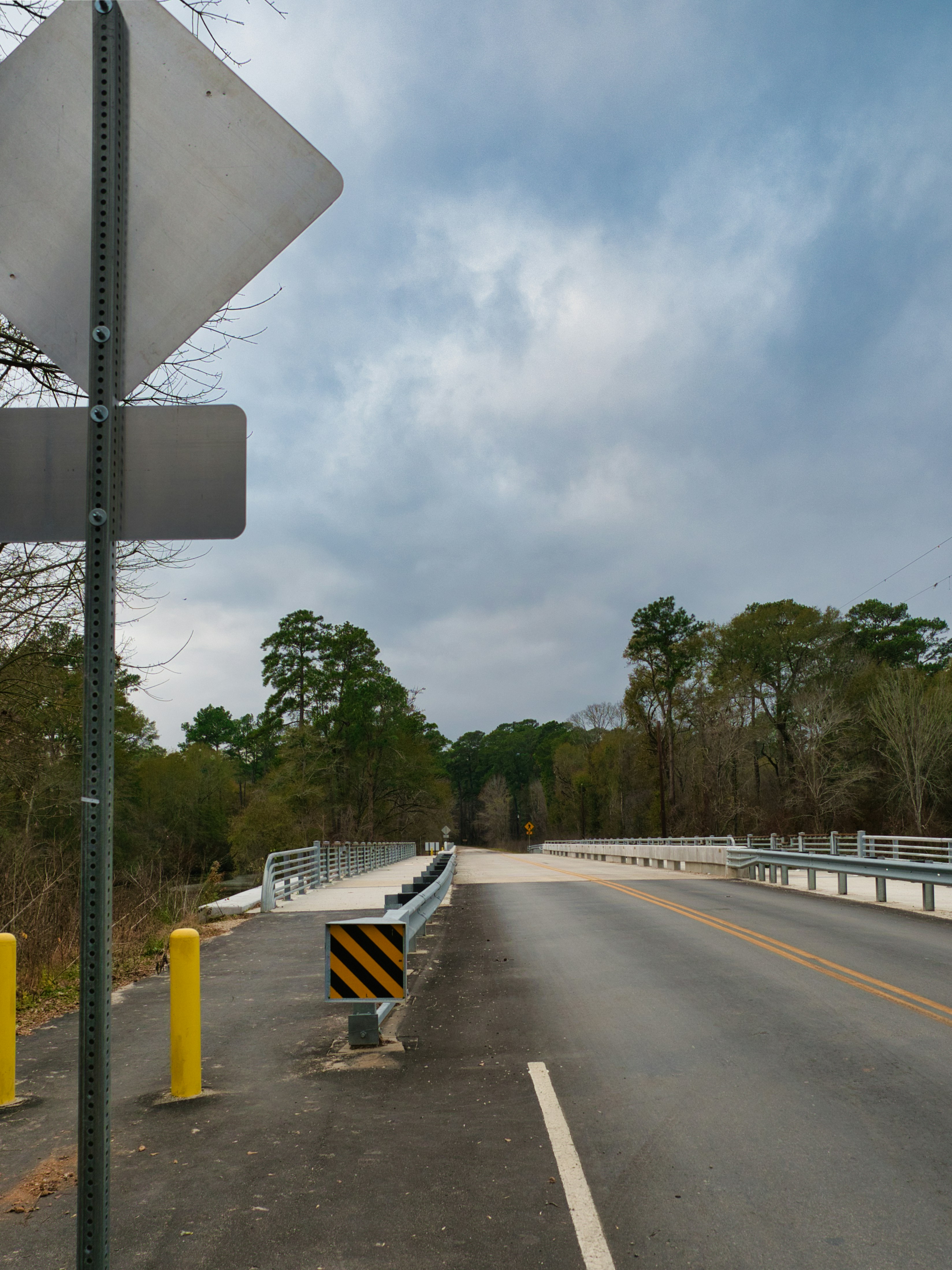 Bridge Leading to a Quiet Forest Road