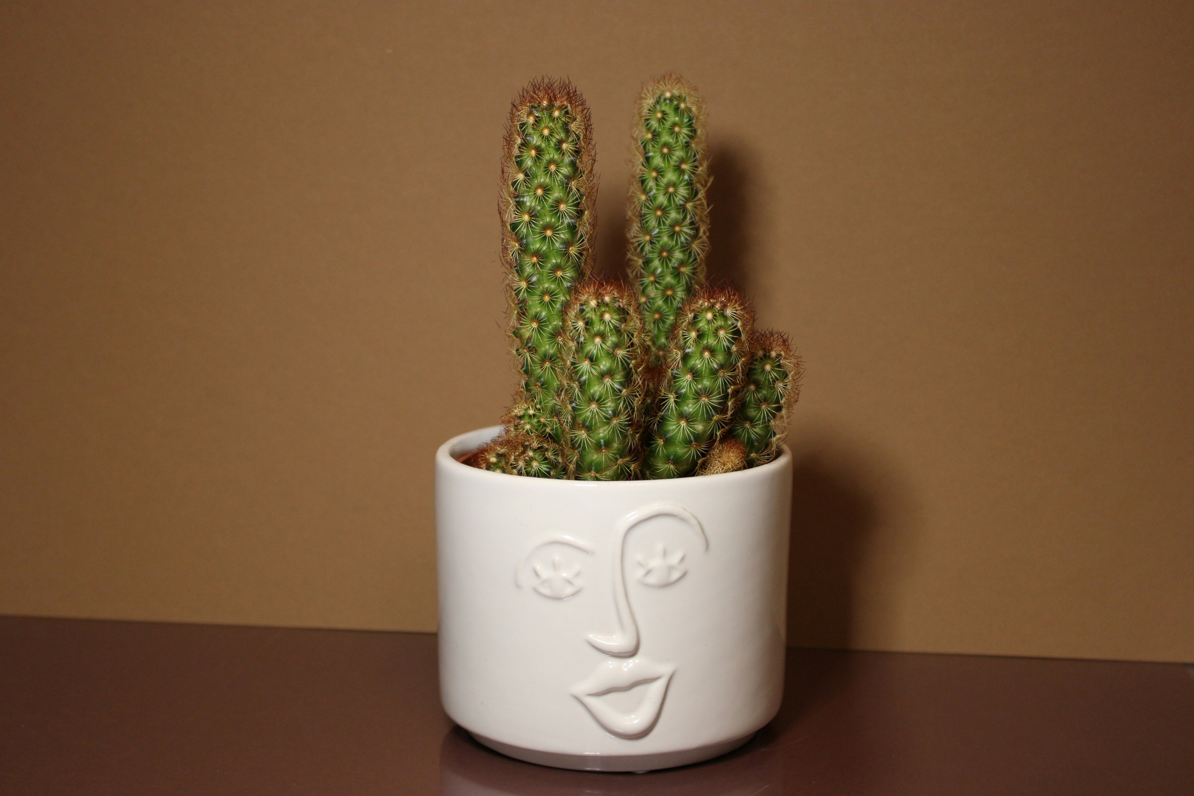 Photo by Ira Kuziv with Canon EOS 2000D