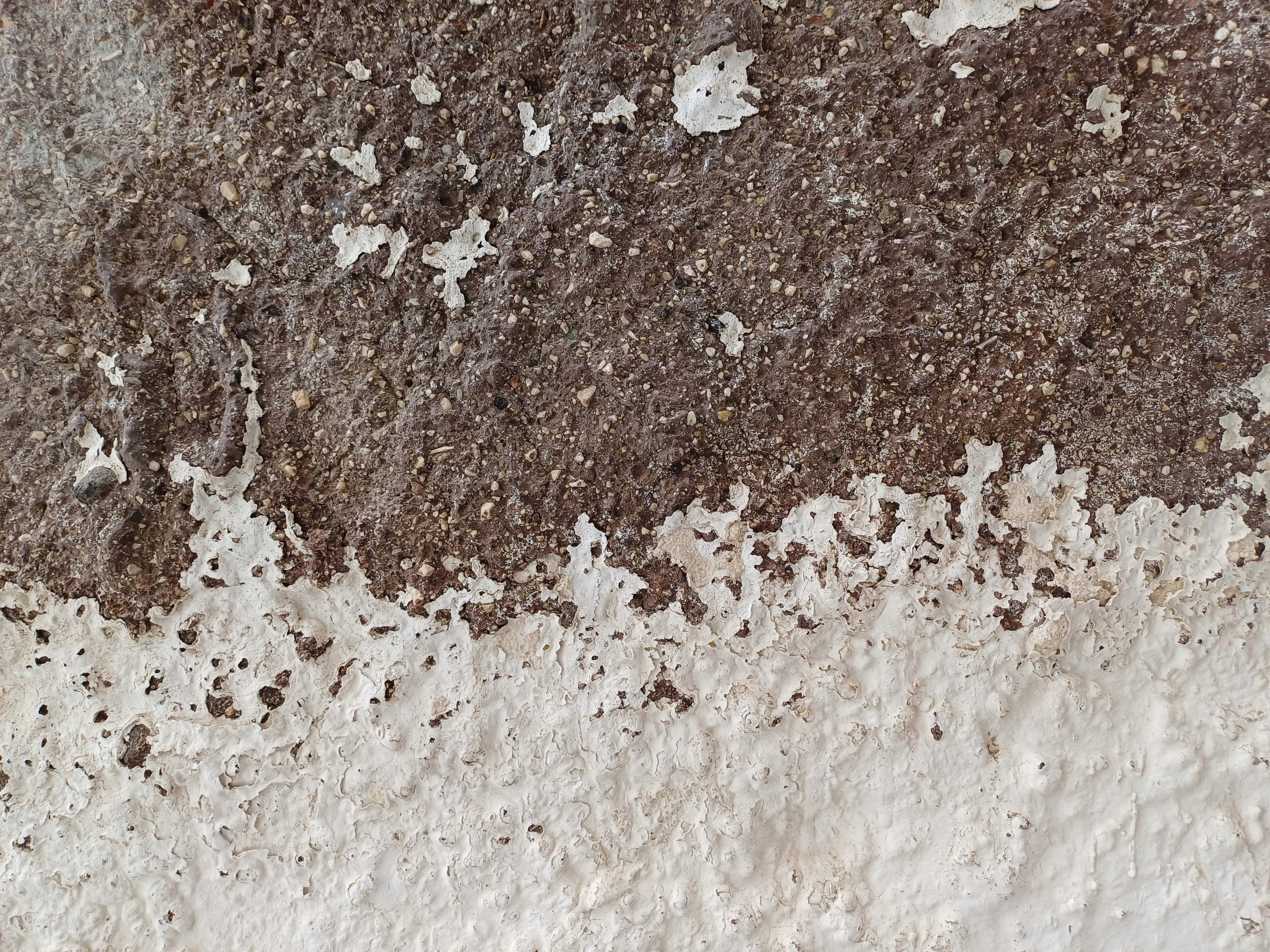 Close-up of a textured wall with contrasting layers of brown dirt and white plaster.