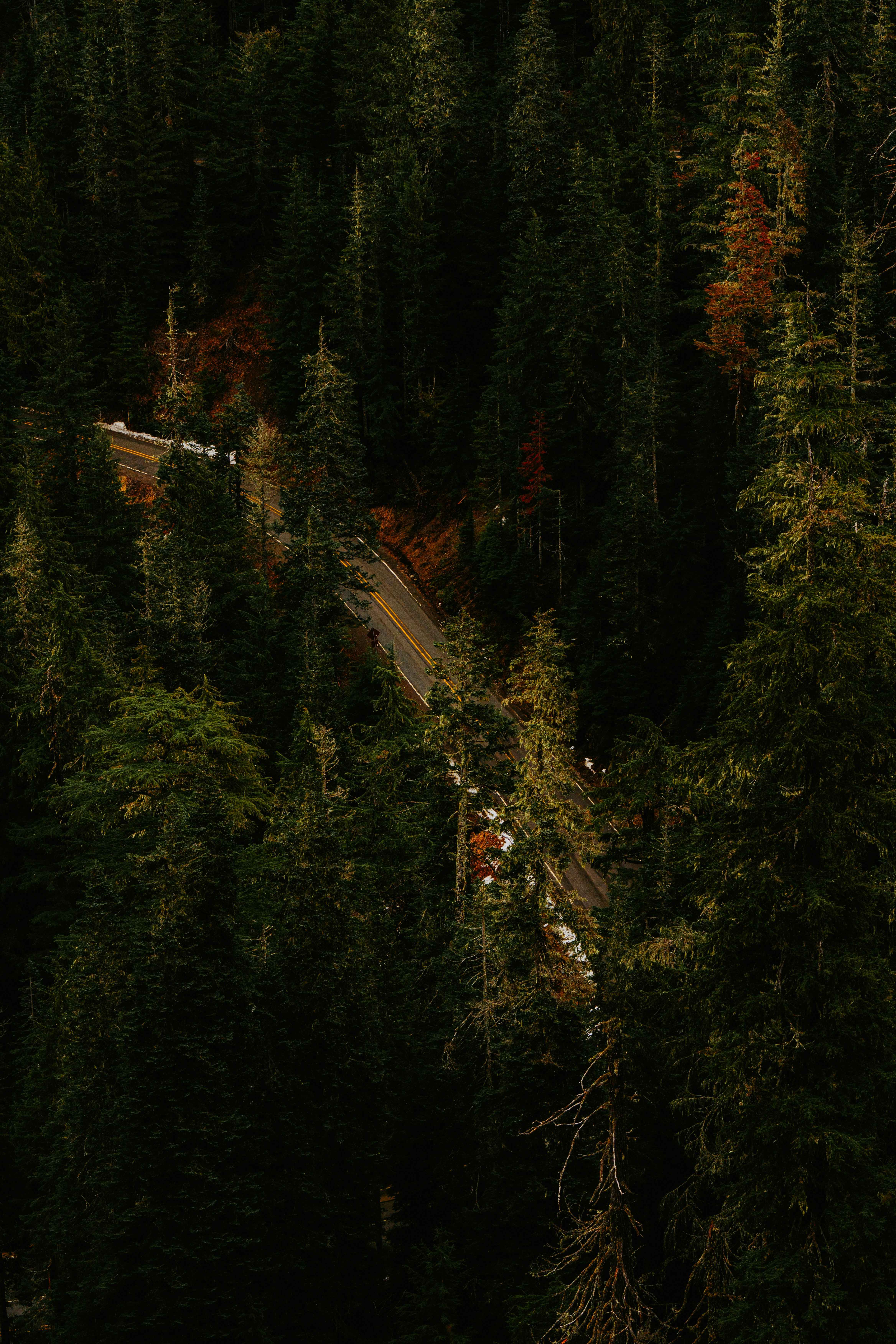 Photo by Luke Miller with Sony Alpha 7 IV