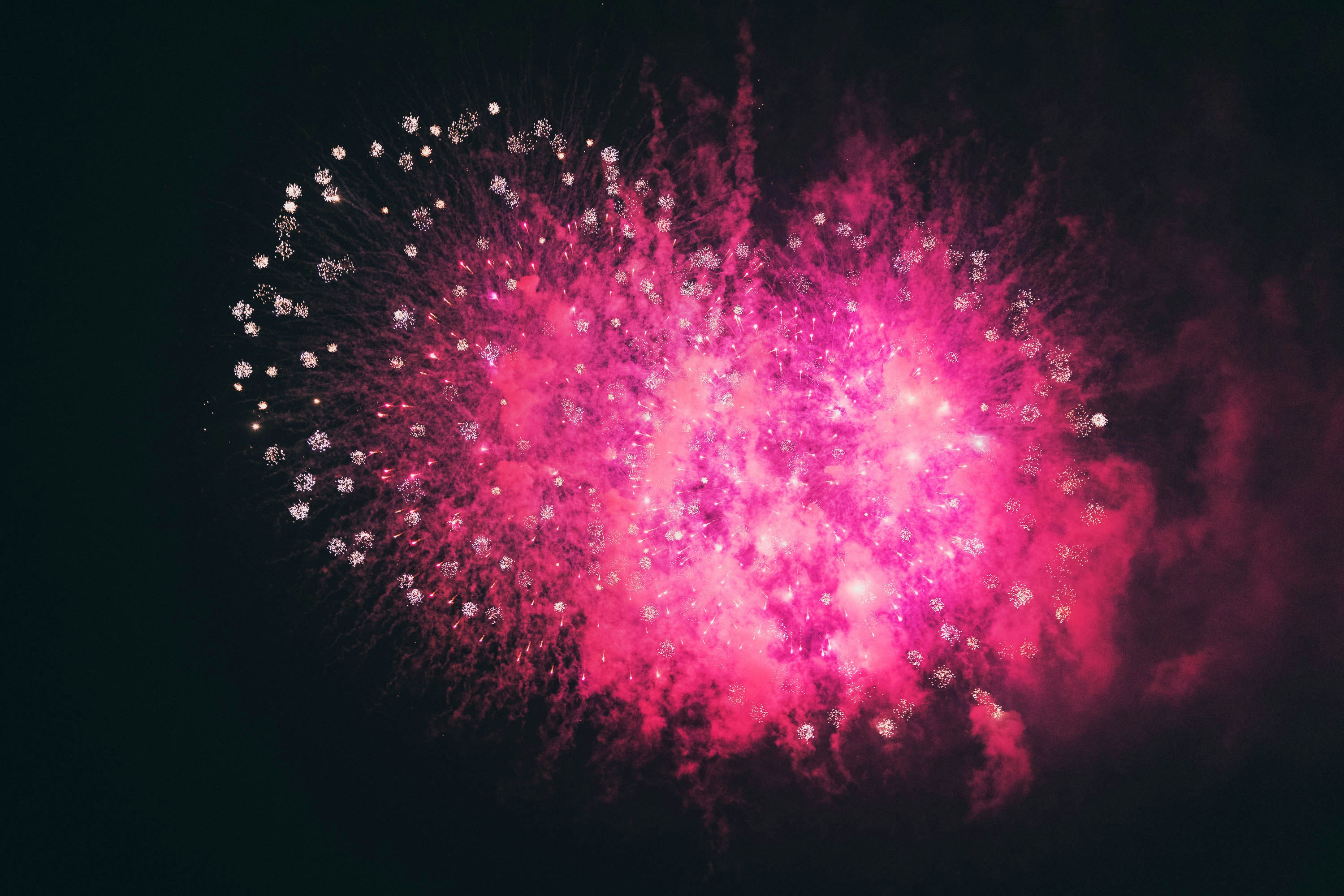 A pink firework exploding in the night sky photo – Free Italy Image on ...