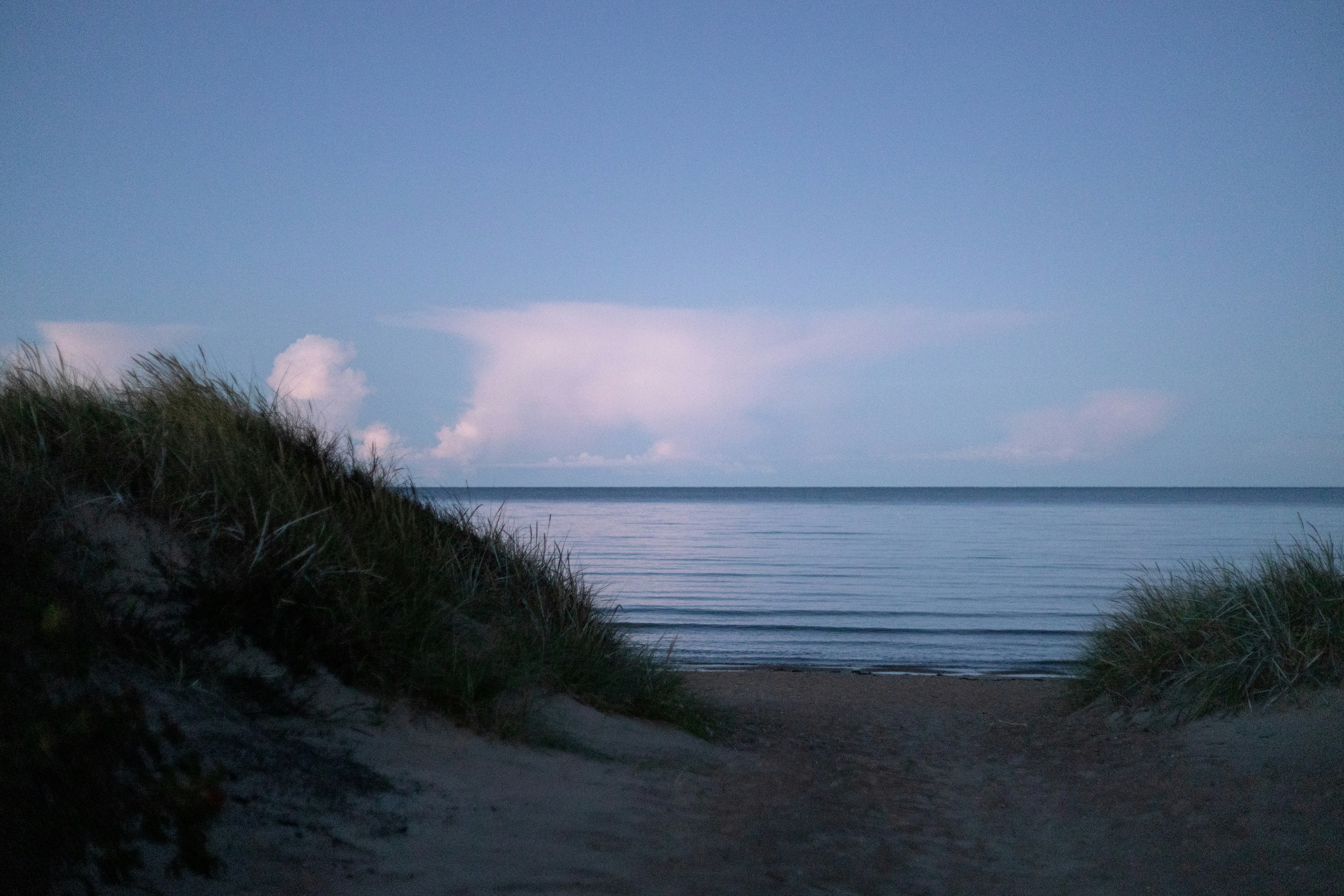 Tranquil Pathway to the Sea