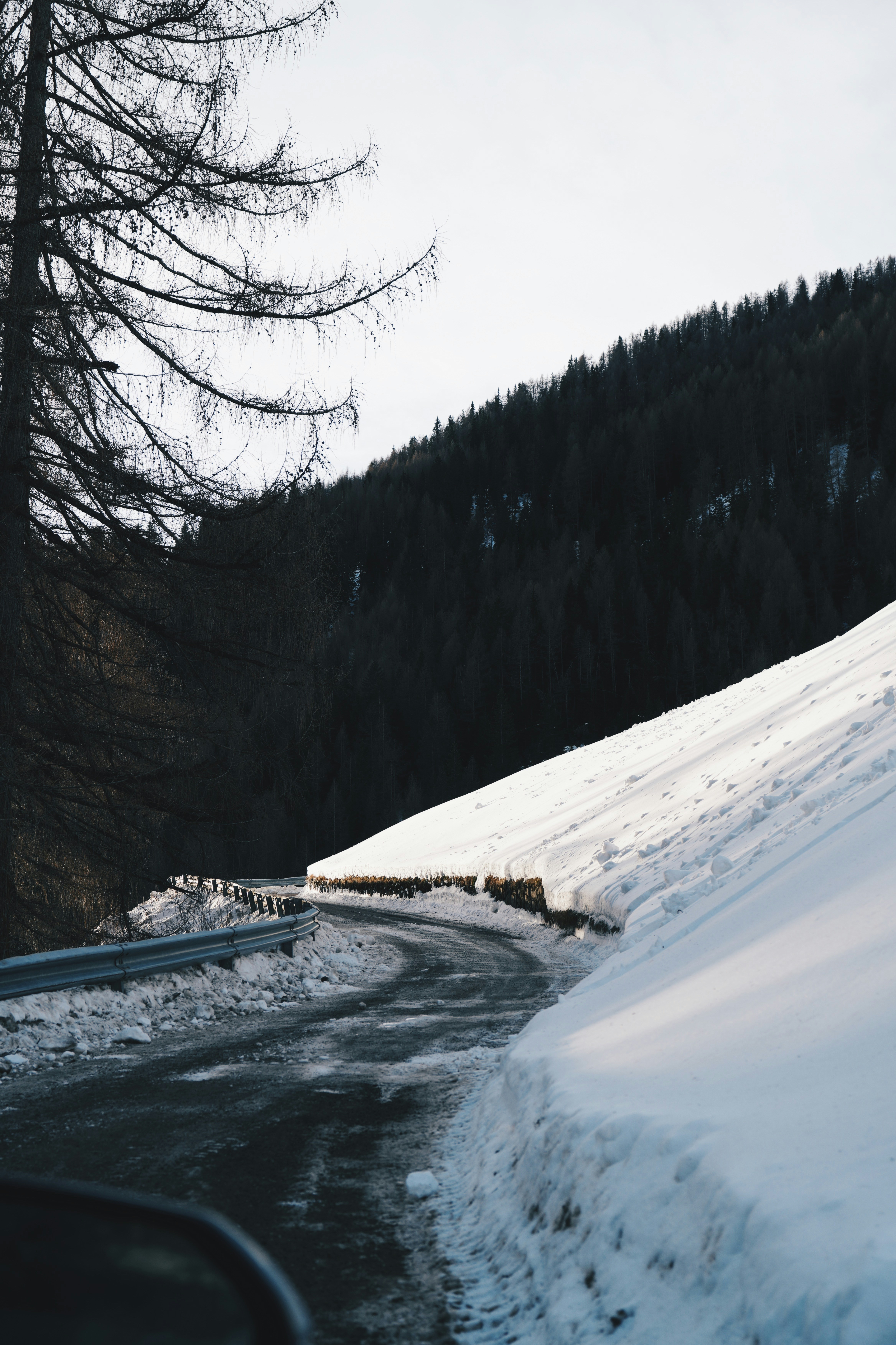 Winding Path Through Winter's Embrace