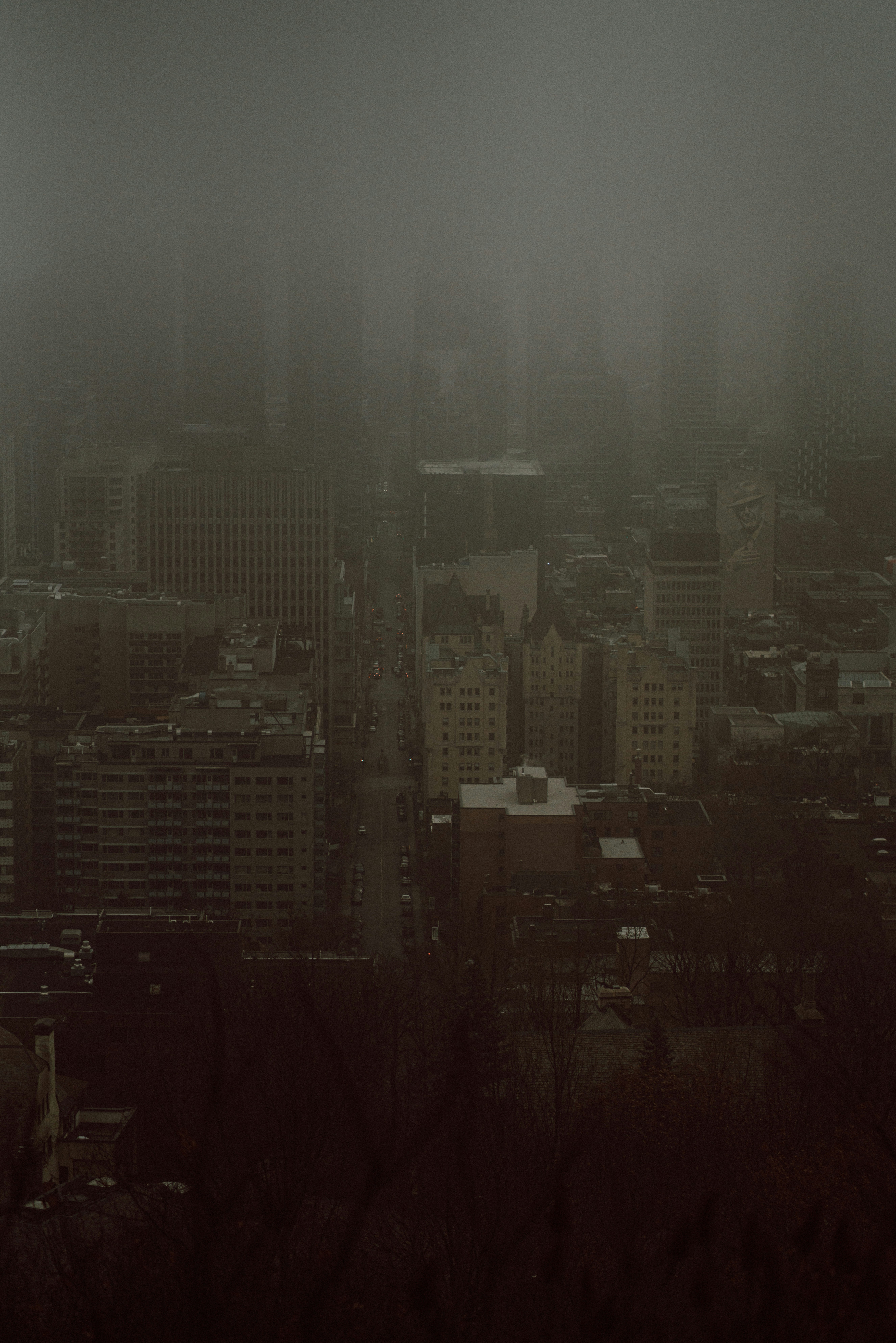 Fogbound Avenue: A City Street Vanishes Into the Mist