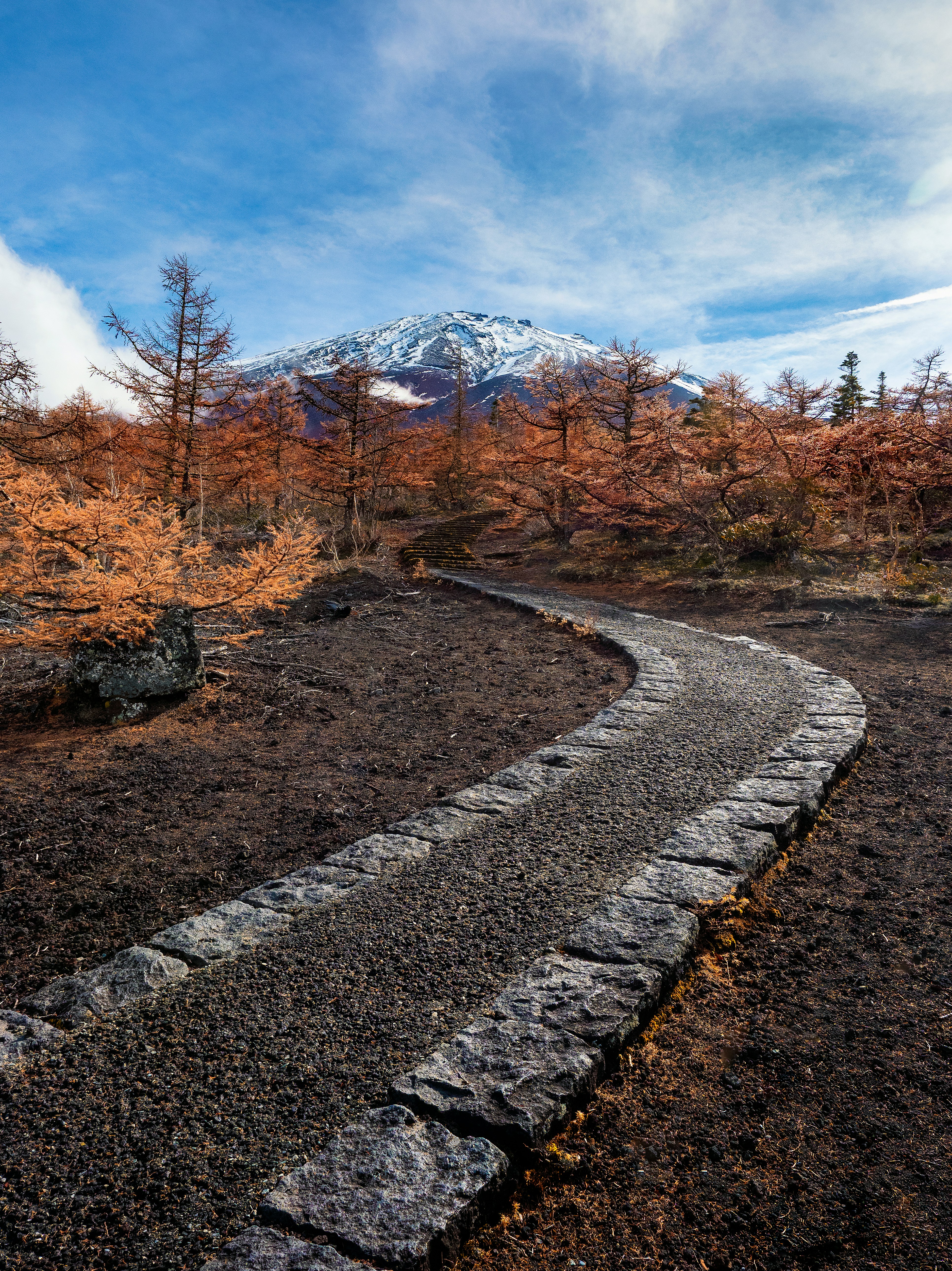 Stone Path through a Burnt-Orange Forest toward a Snow-Capped Peak