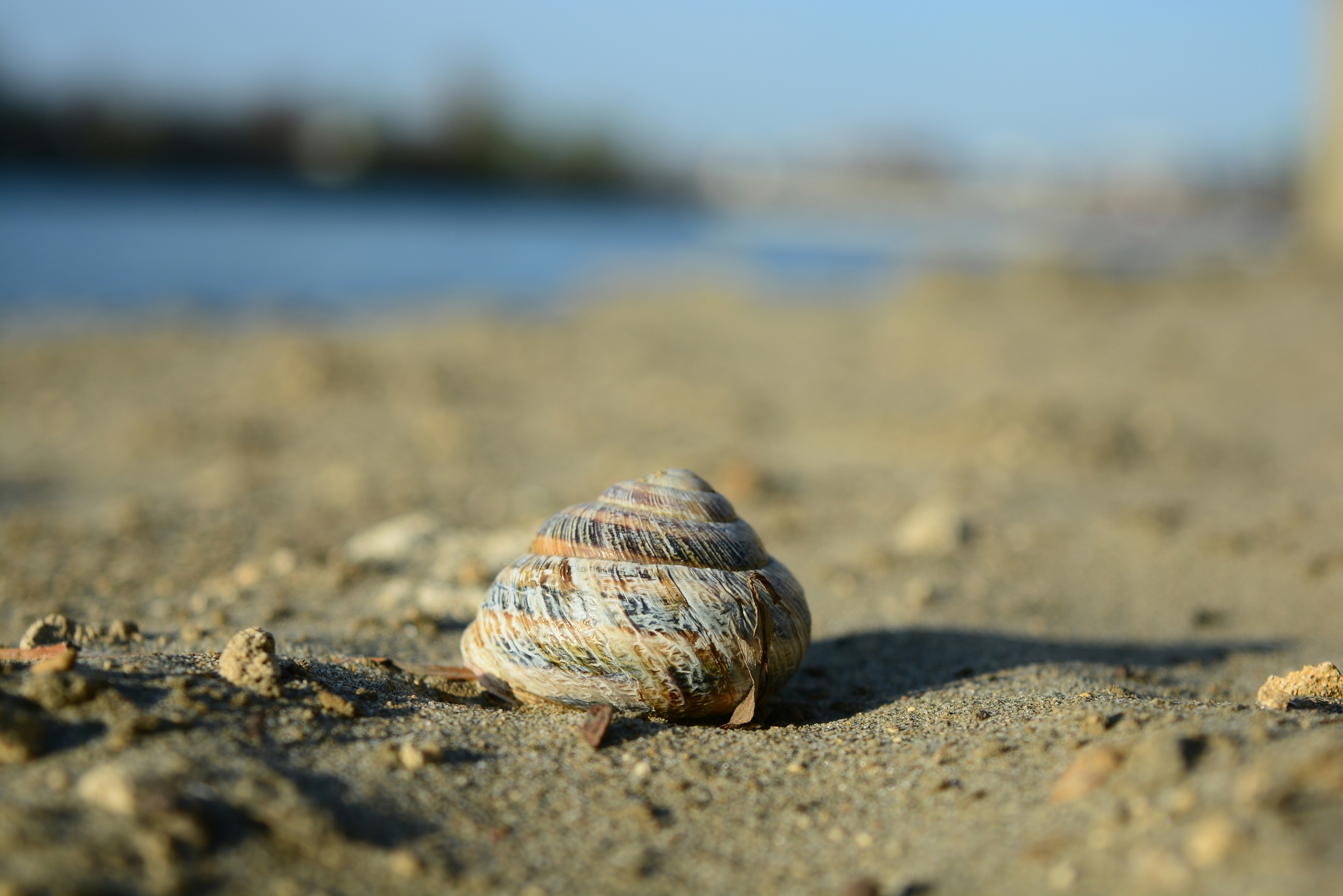 Photo by Irina Beletskaya with Nikon D5200