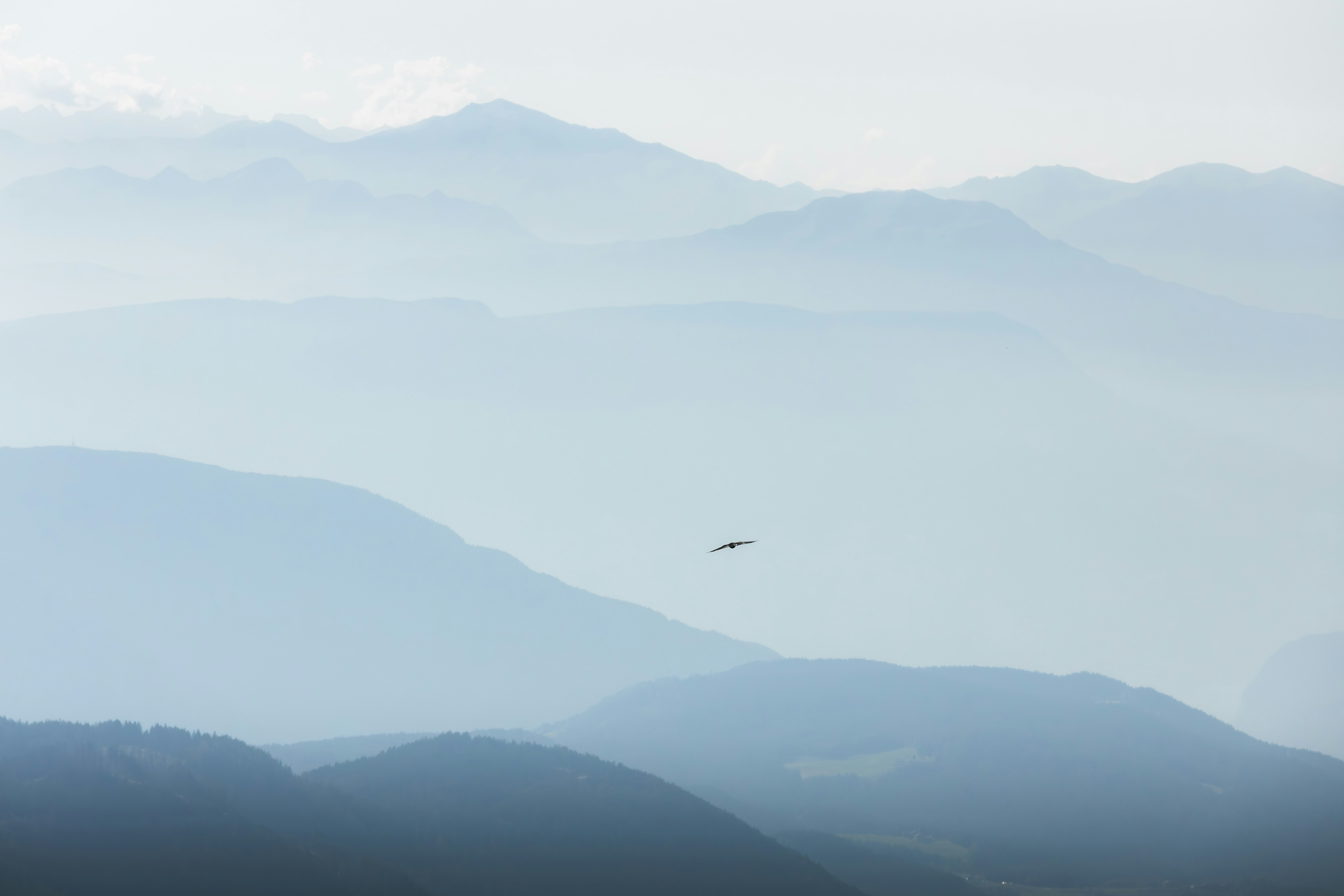 A large bird flying over a mountain range photo – Free Nature Image on ...