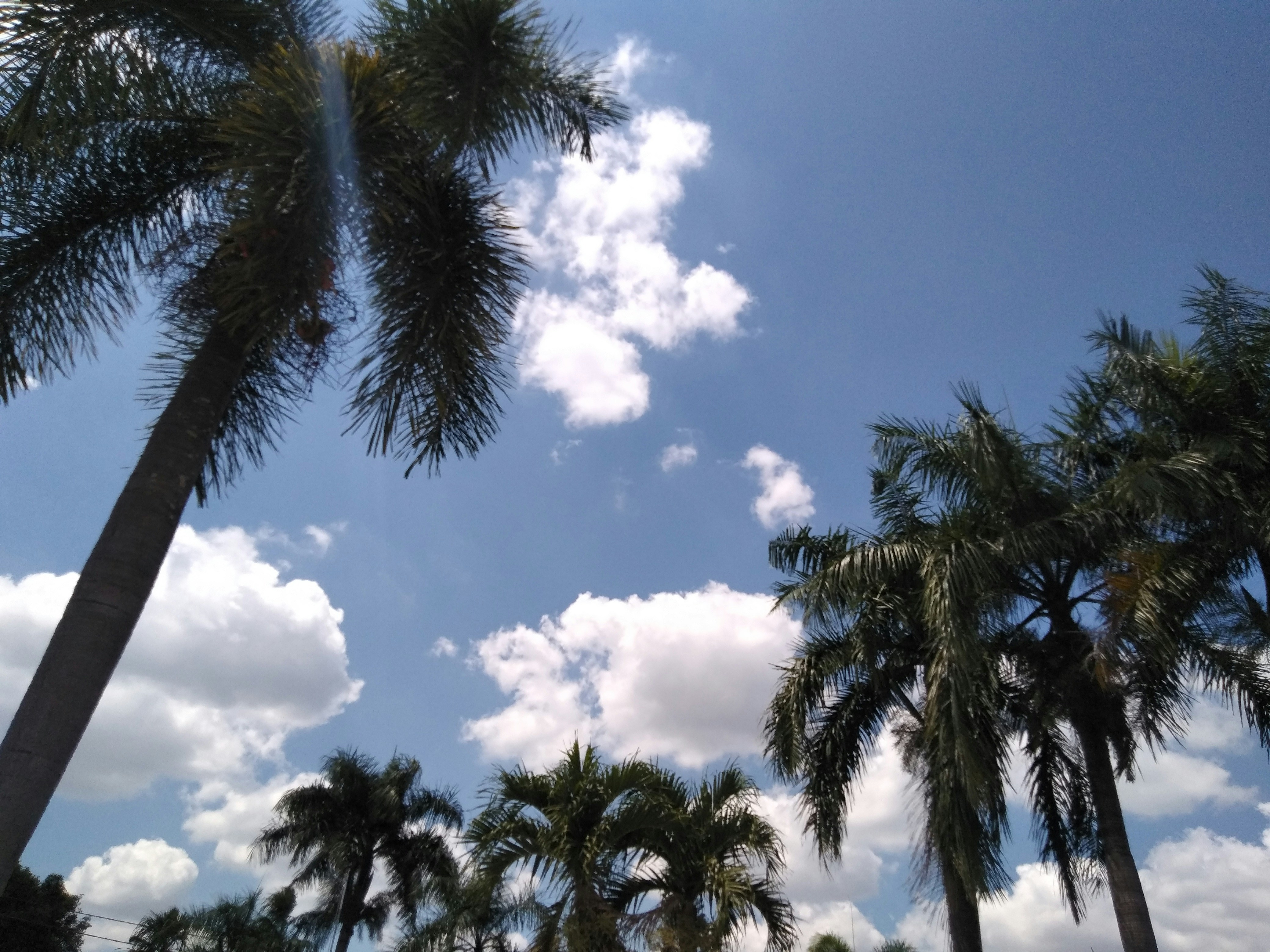 Oppo A71 Sample Shots