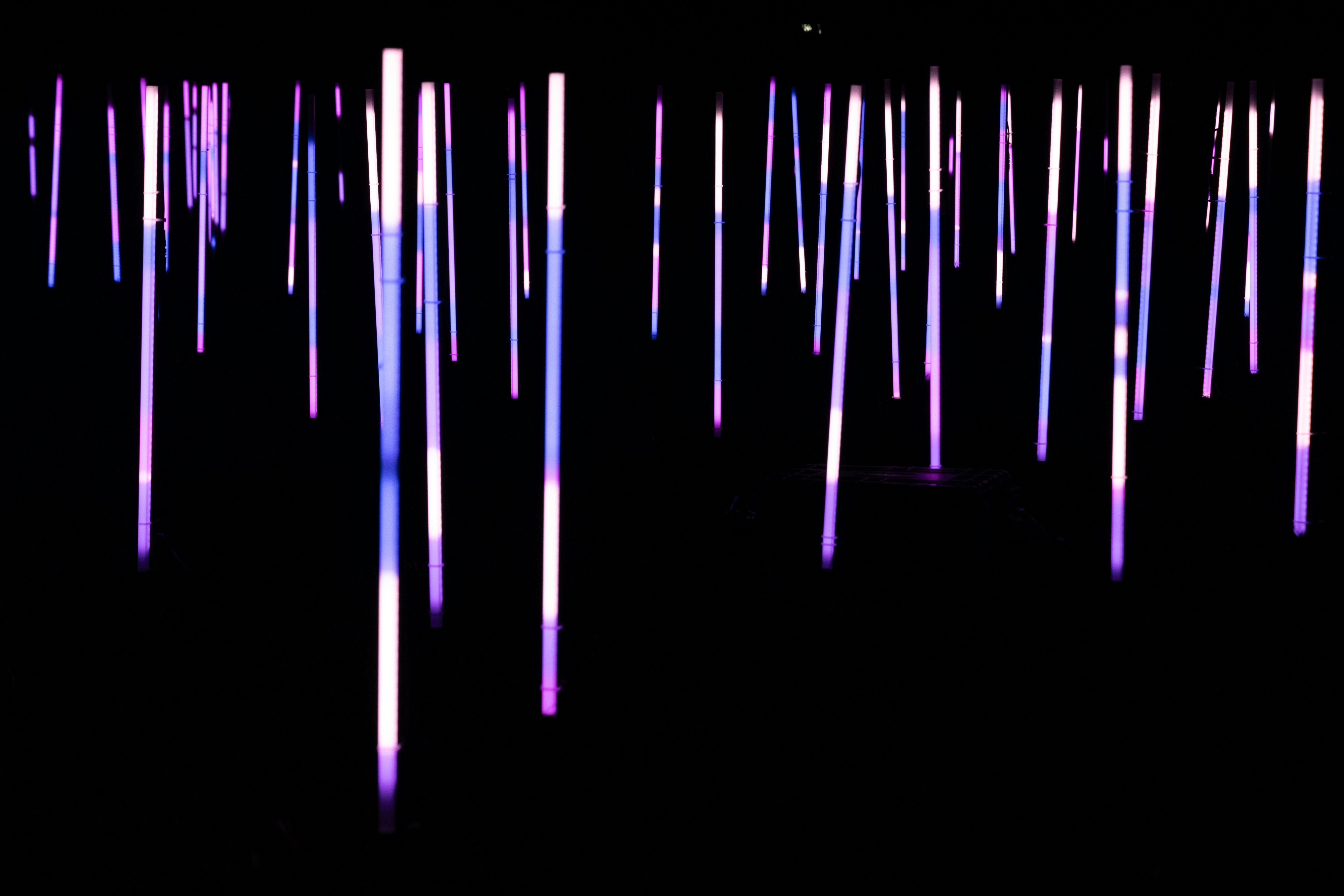 A group of sticks that are in the dark photo – Free Light Image on Unsplash