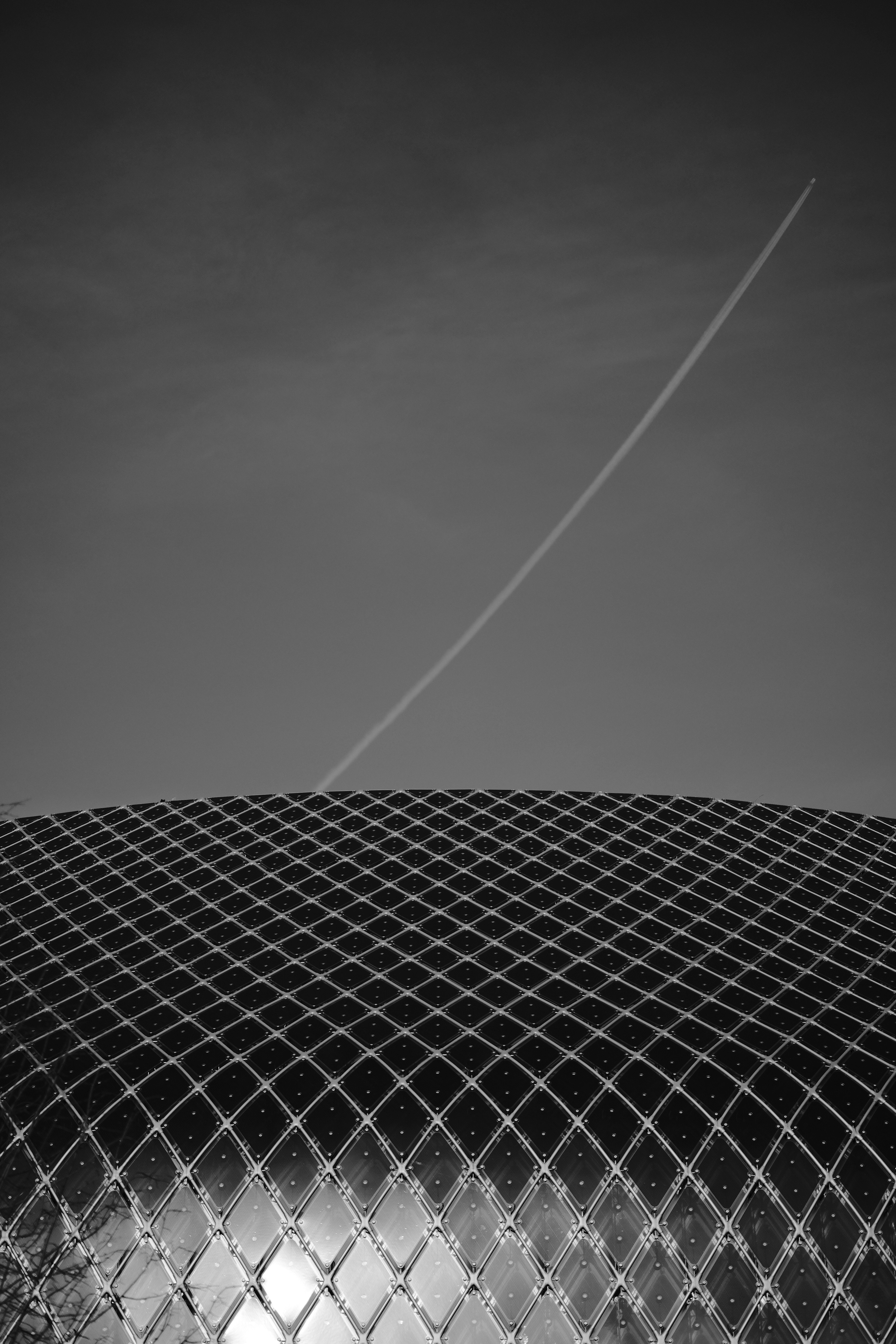 Geometric Reflection Under Silent Flight