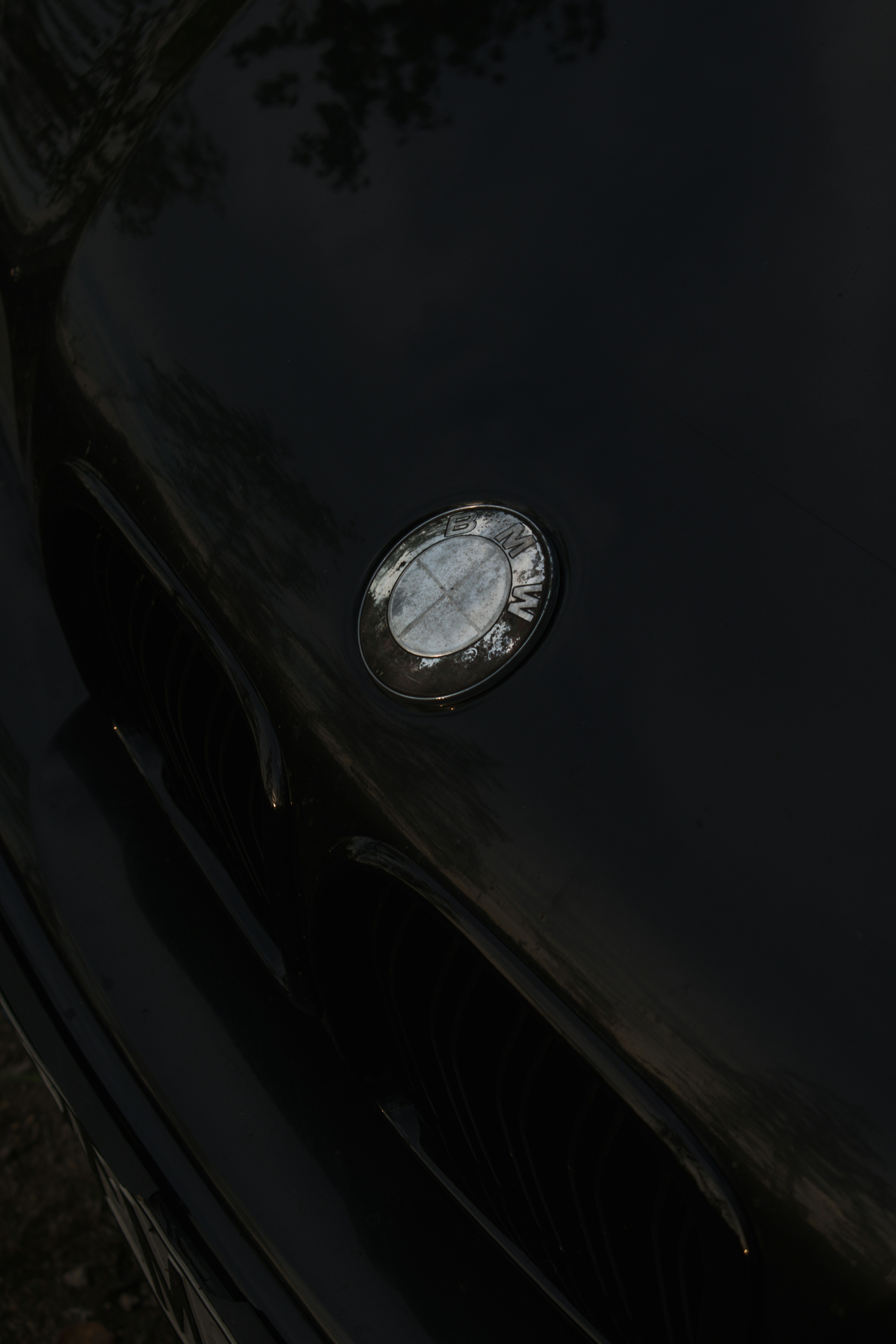 Midnight Glint: The Circular Emblem on a Quiet Black Hood
