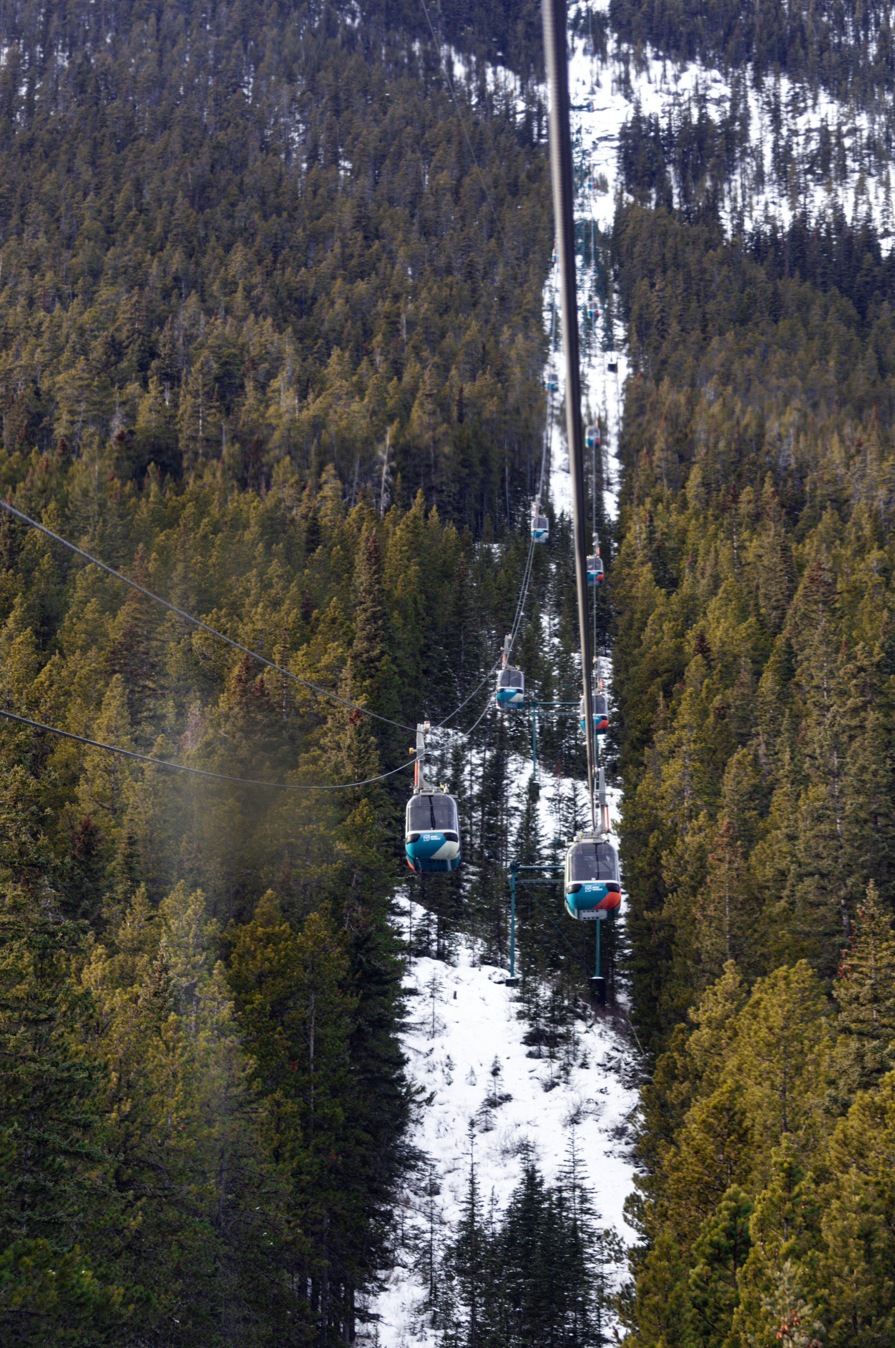 Gondola Thread Through a Snow-White Pine Spine