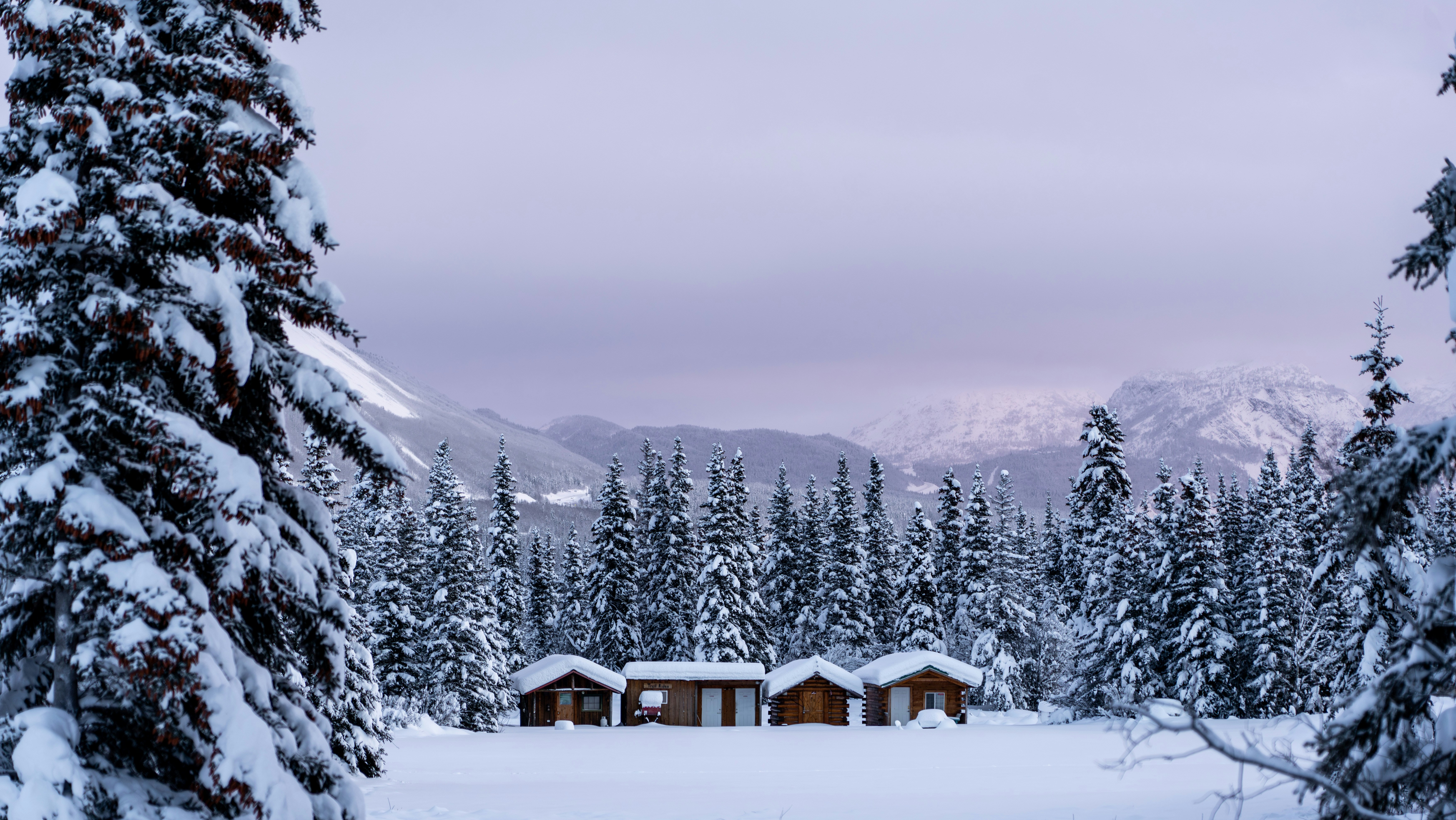 750+ Snow House Pictures | Download Free Images on Unsplash
