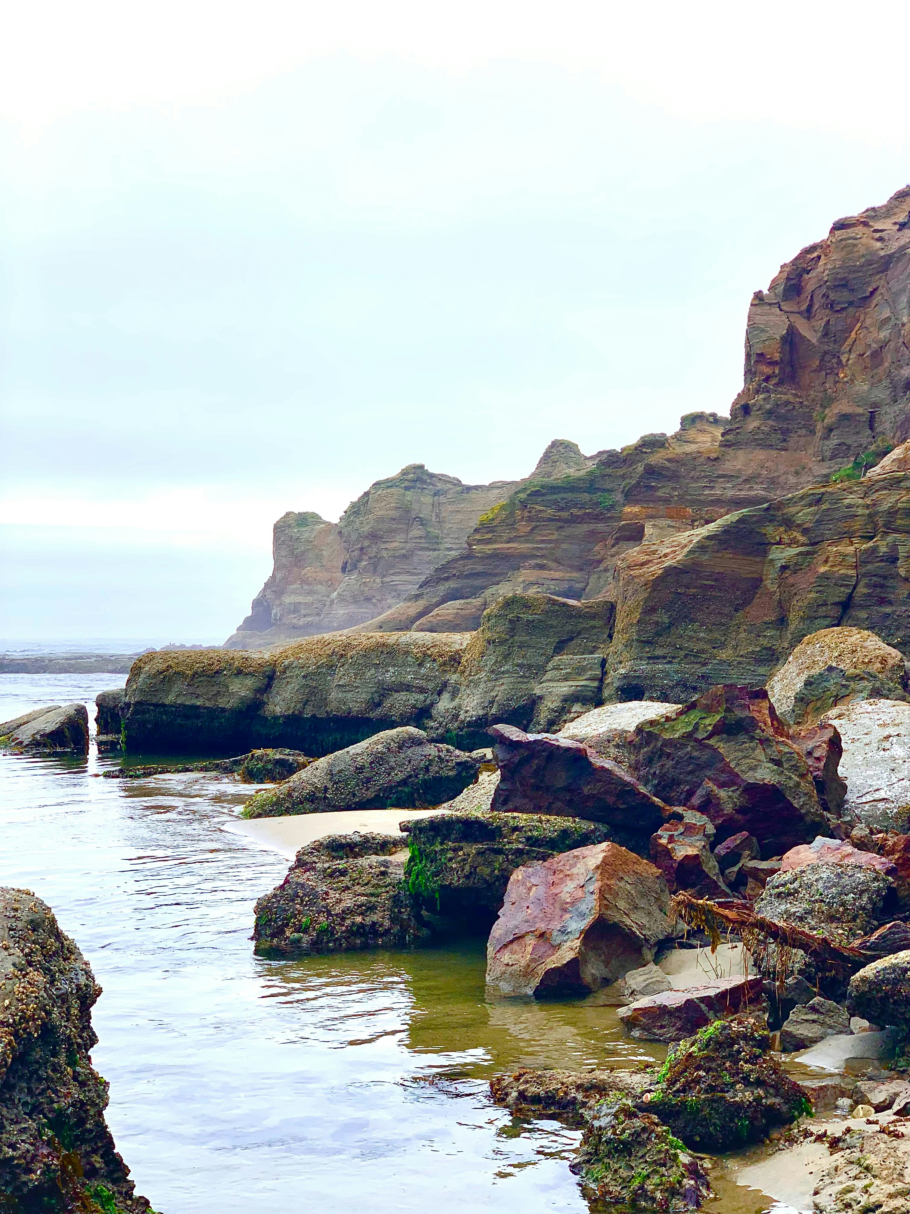 Rugged Cliffs and Tidal Echoes along a Quiet Shore