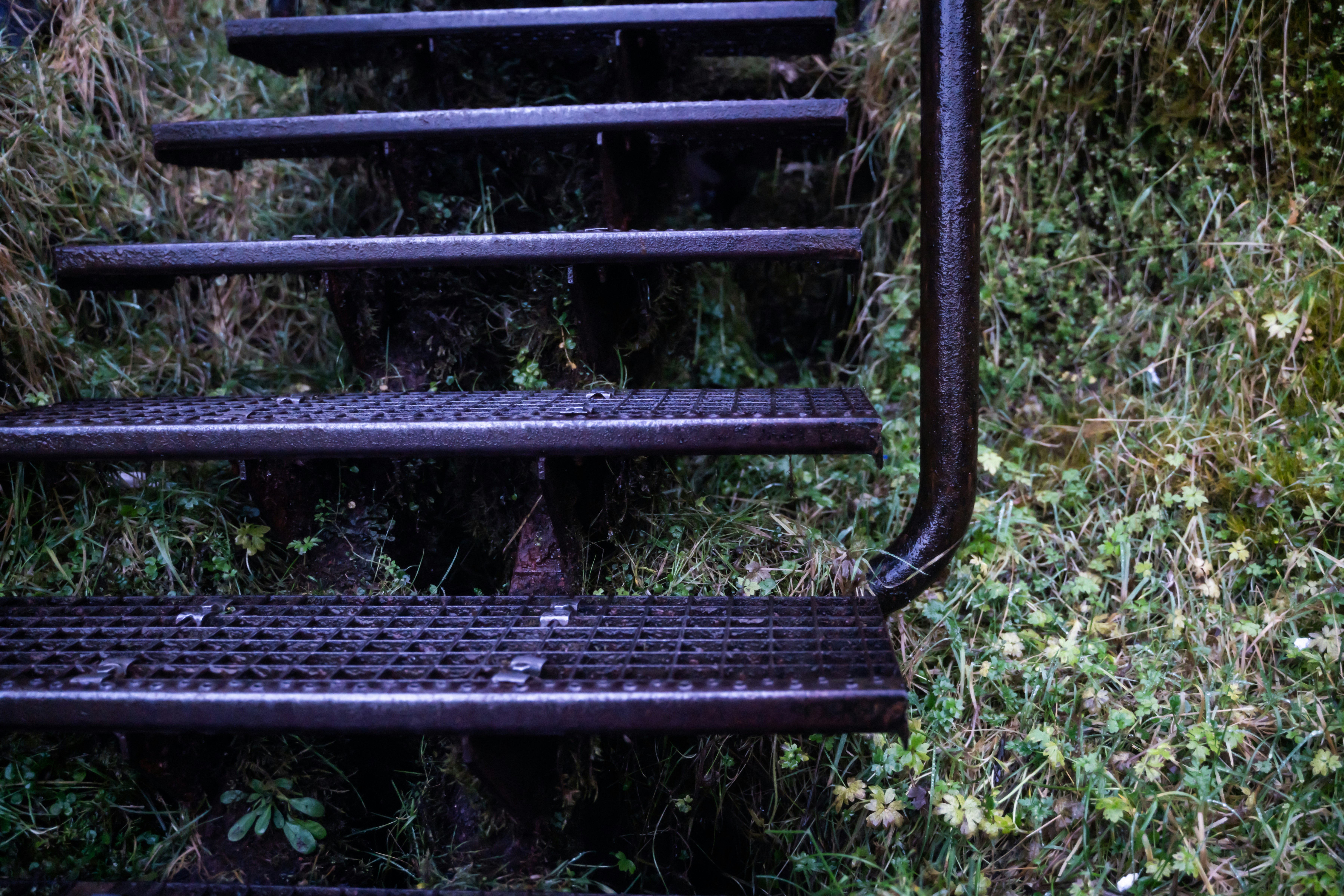Iron Staircase Lost to the Foliage