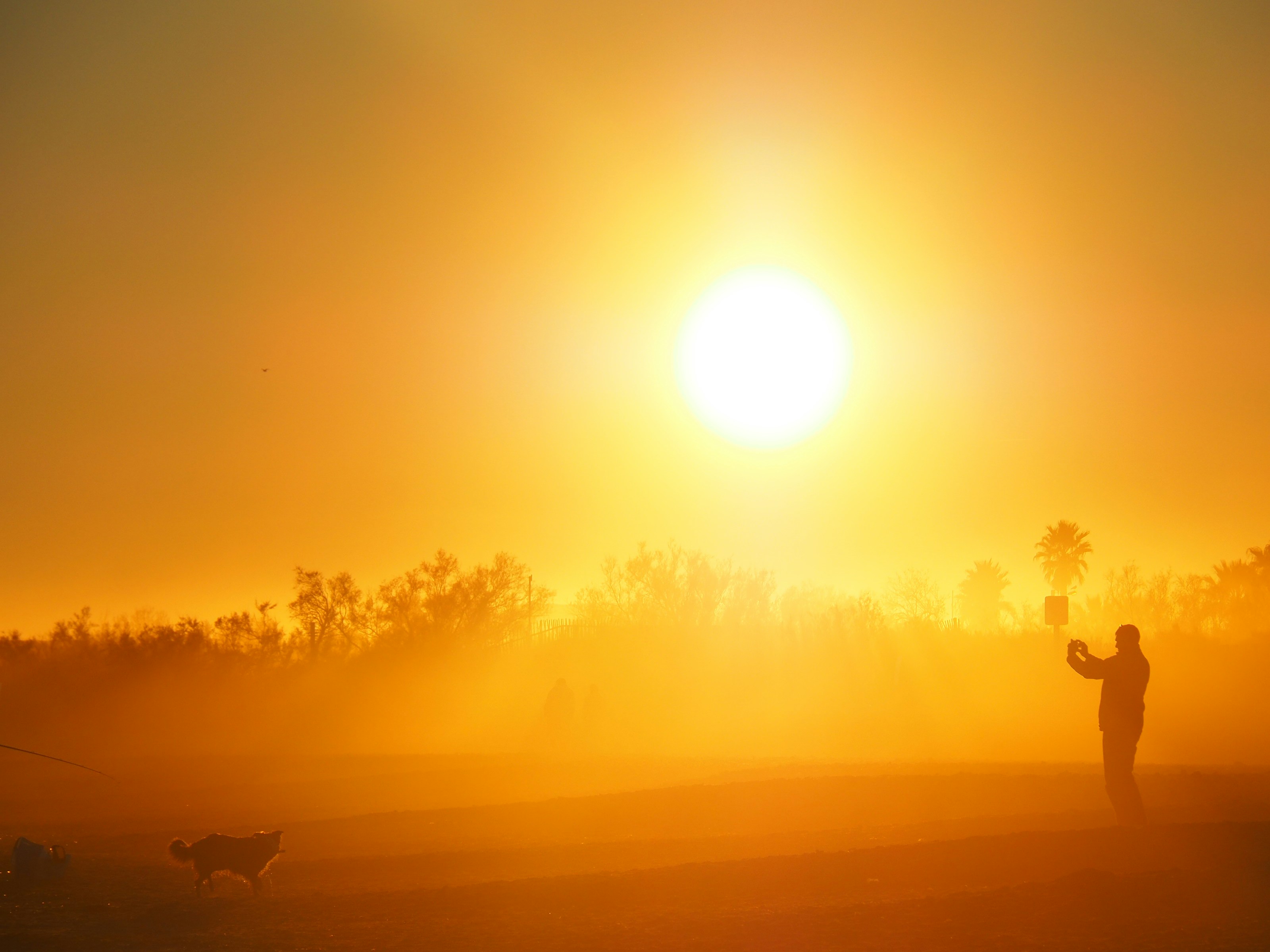Silhouette at Dawn: A Figure Raises an Arm on a Misty Shore with a Dog in the Golden Haze