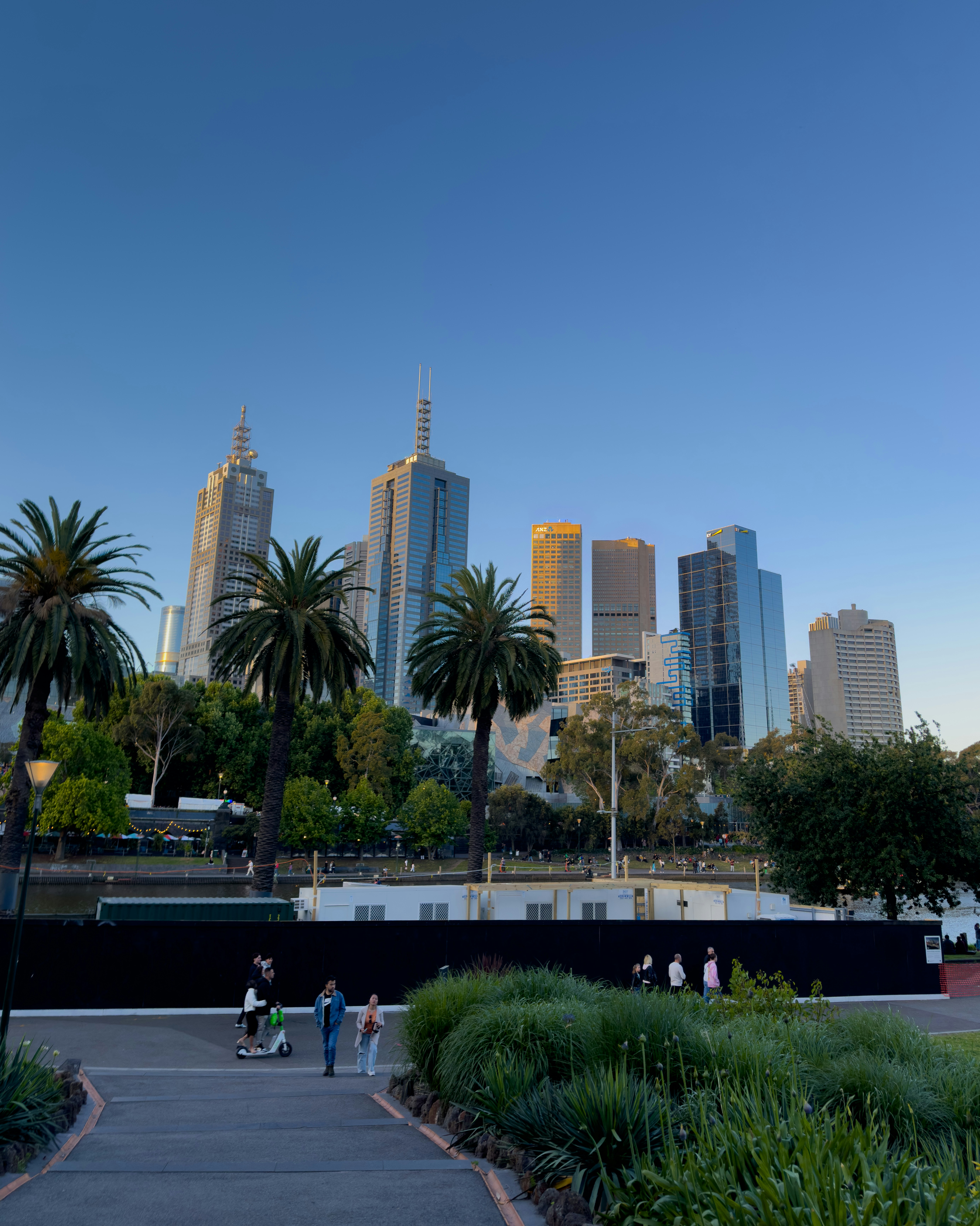 Promenade Perspective: Palm Trees Framing a Glass Skyline