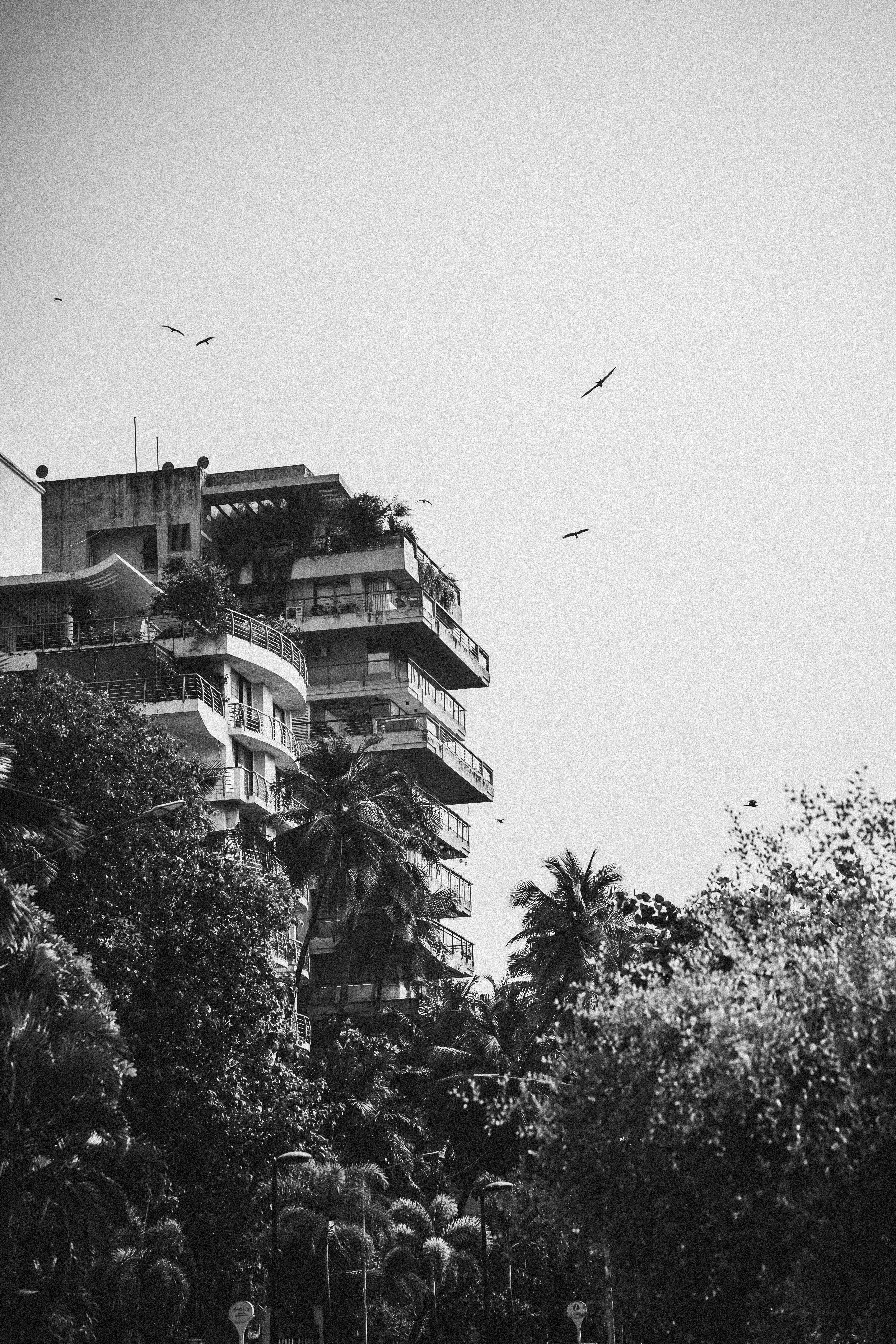 Photo by rishi with Sony Alpha 7 IV