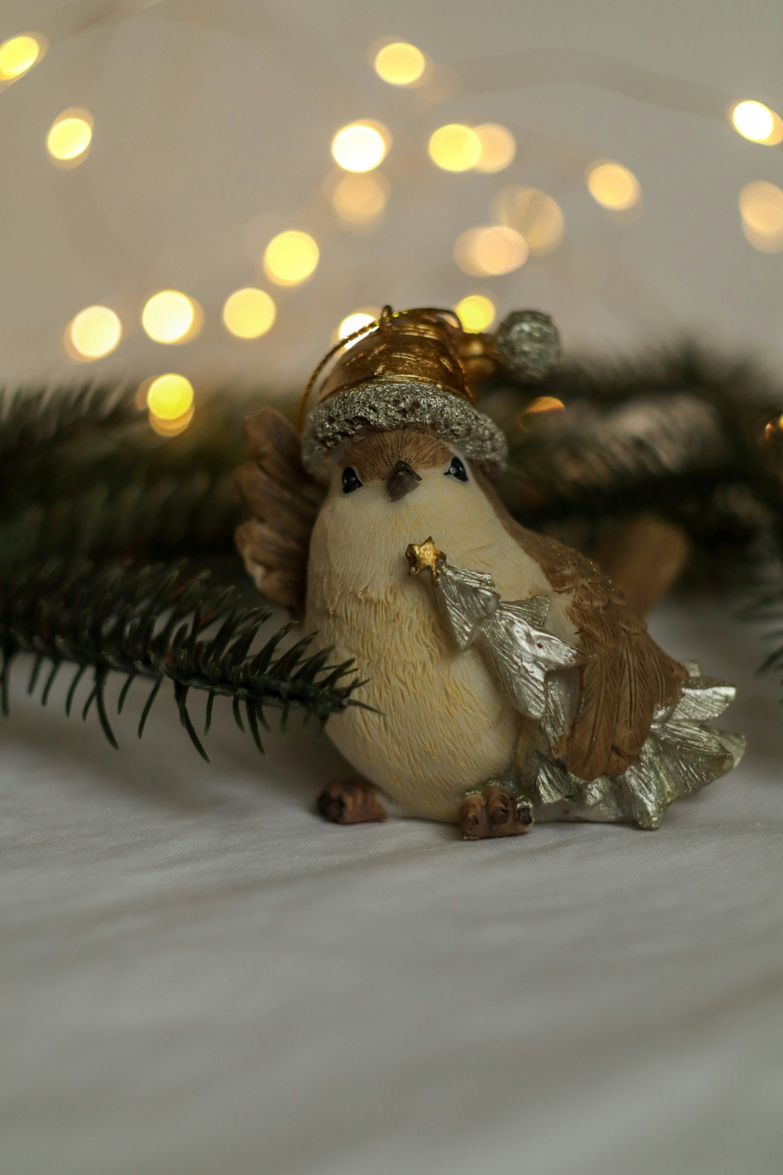 Photo by Nadiia Shuran with Canon EOS M50