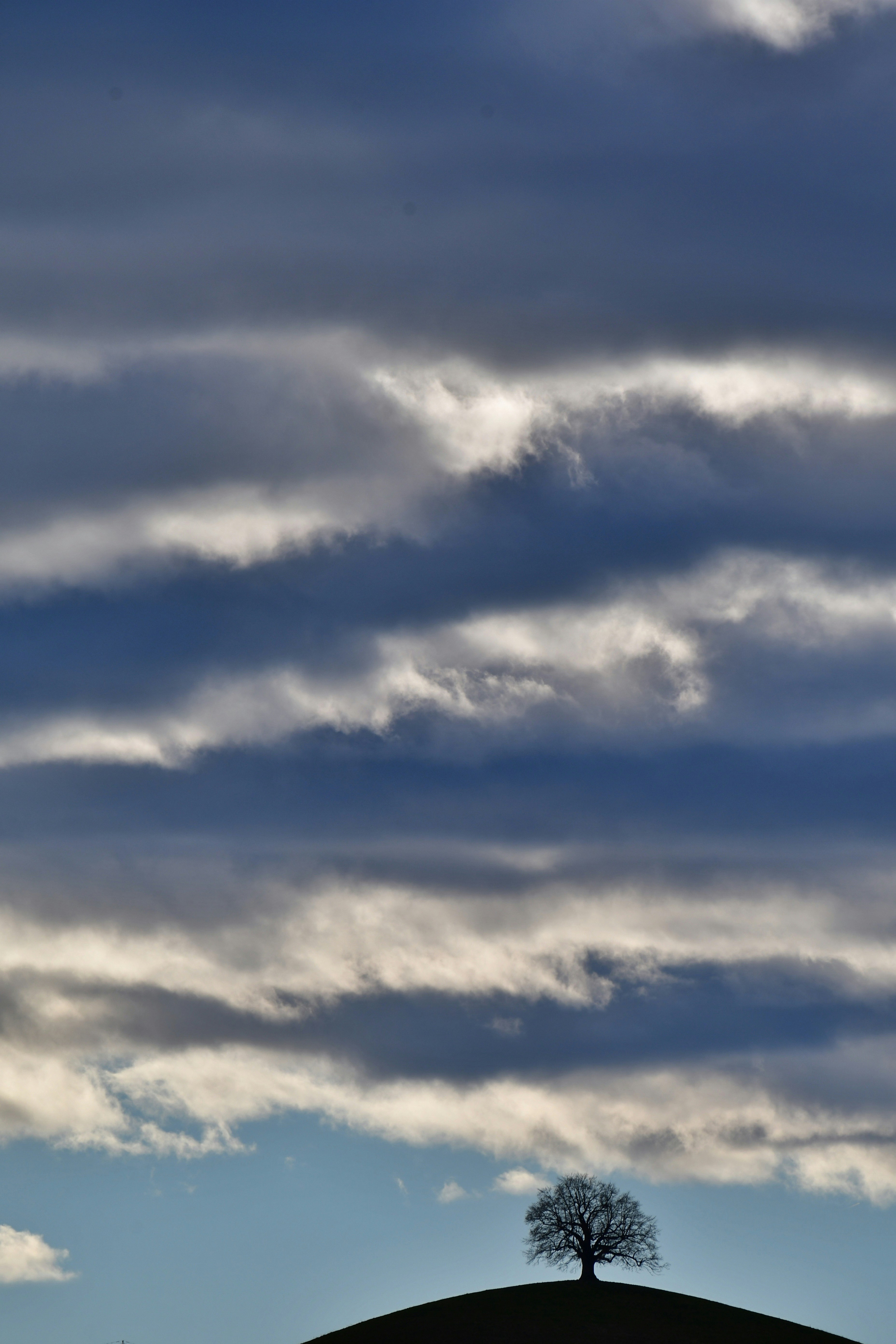 A lone tree on a hill under a cloudy sky photo – Free Hirzel pass Image ...