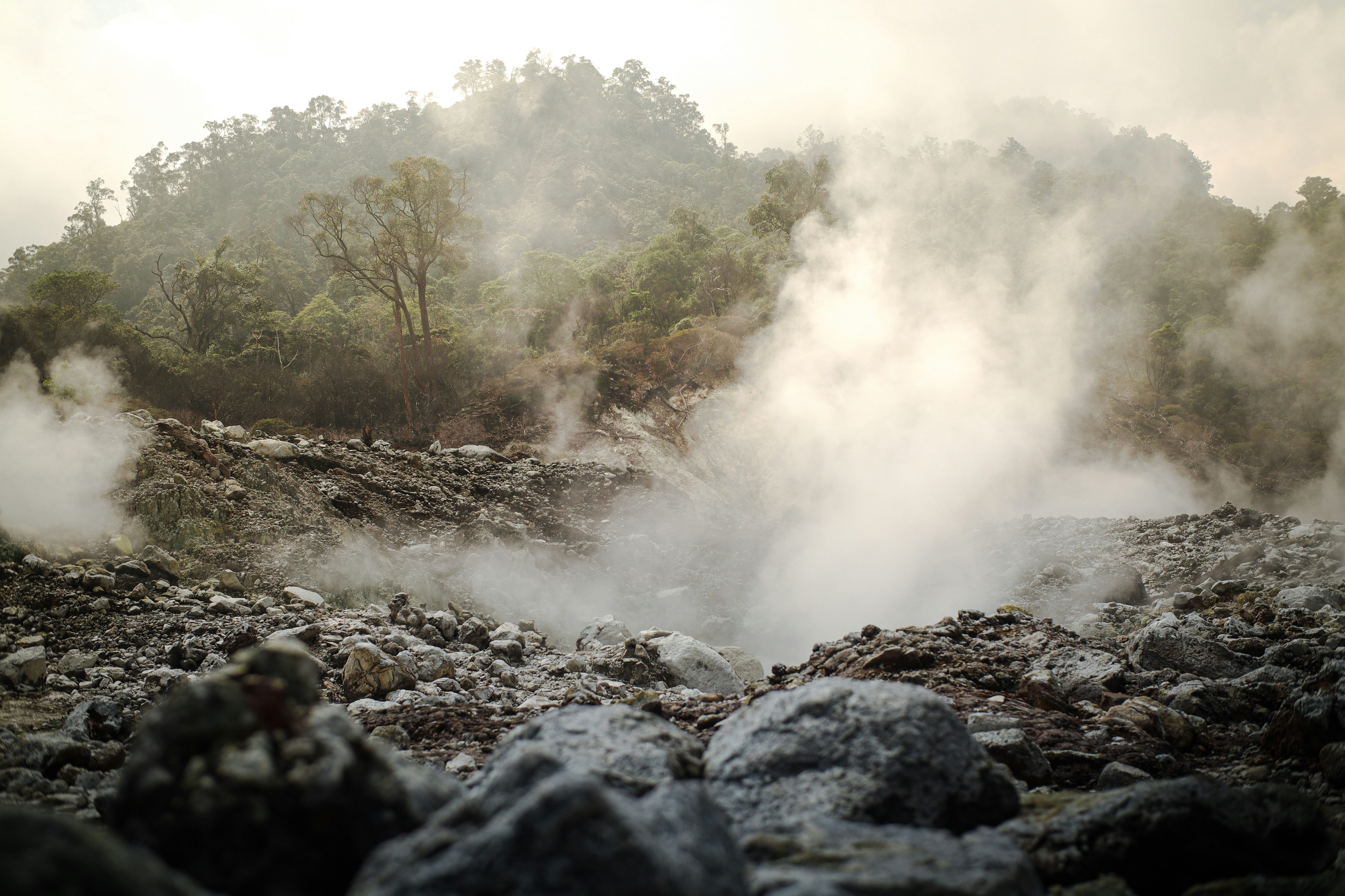 Steam rises from the ground in a rocky area photo – Free Vegetation ...