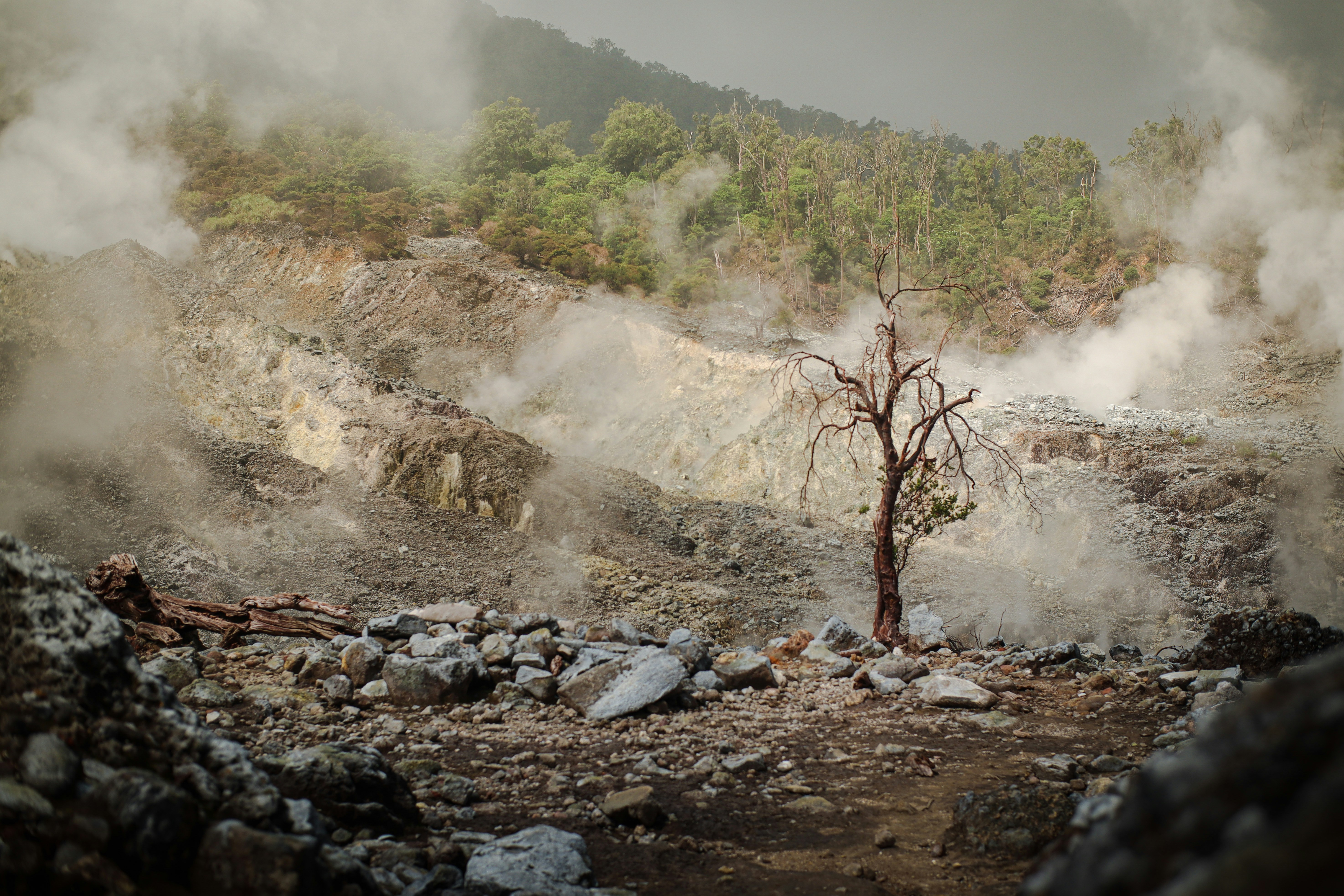 Lone Sentinel in a Steam-Wreathed Volcanic Field