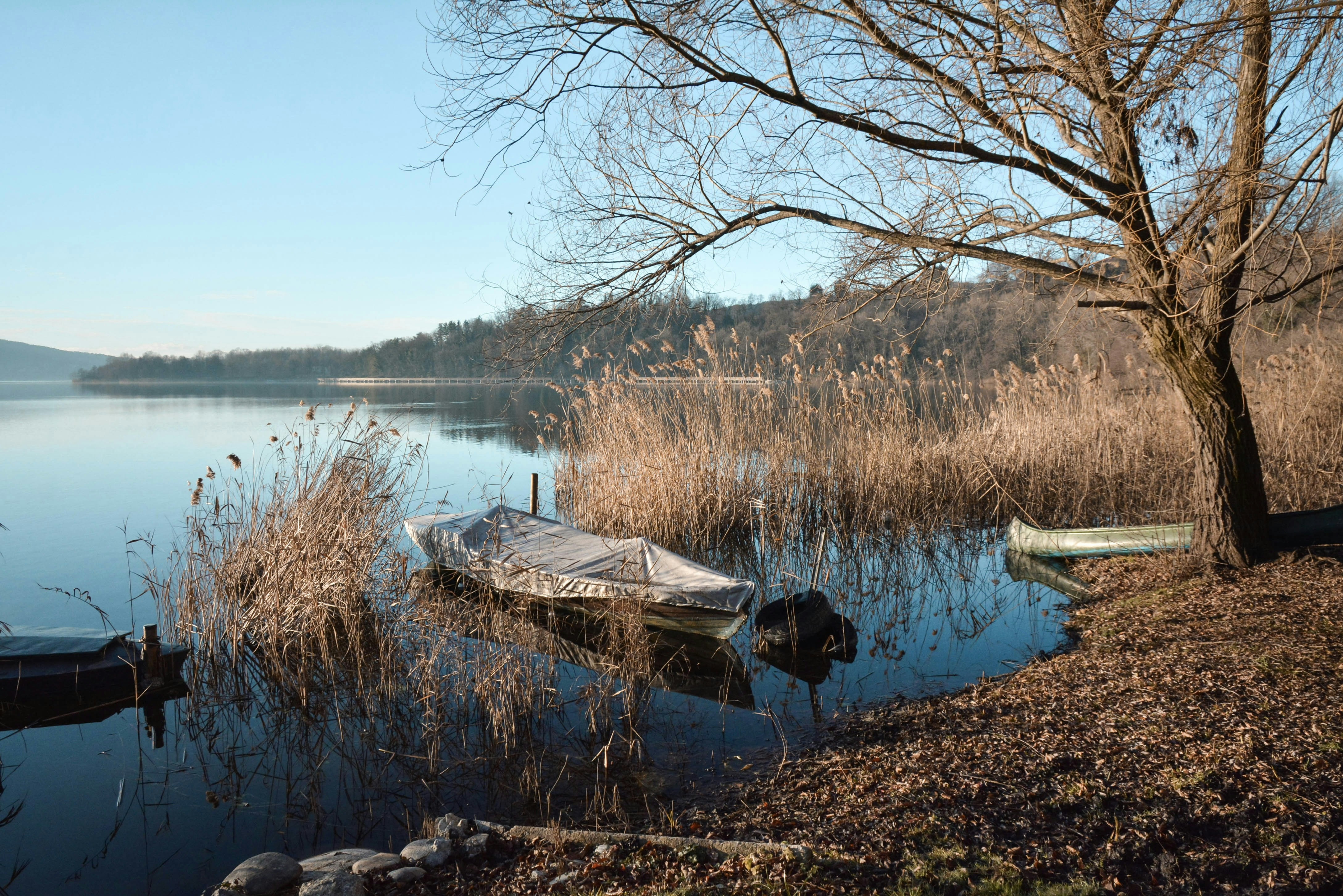 Serene Lakeside Dawn