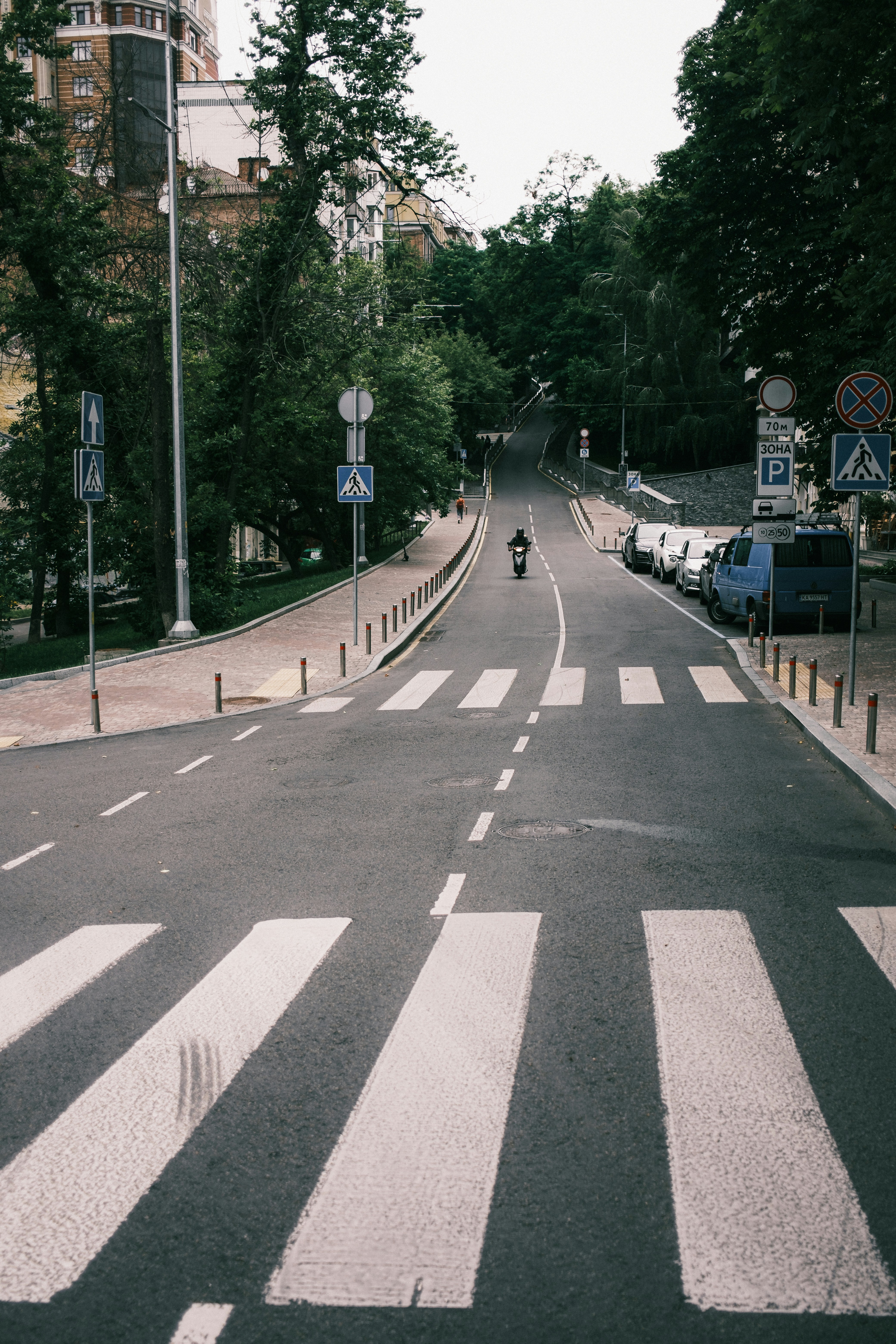 Cyclist riding uphill on a quiet, tree-lined urban street with clear sky above.