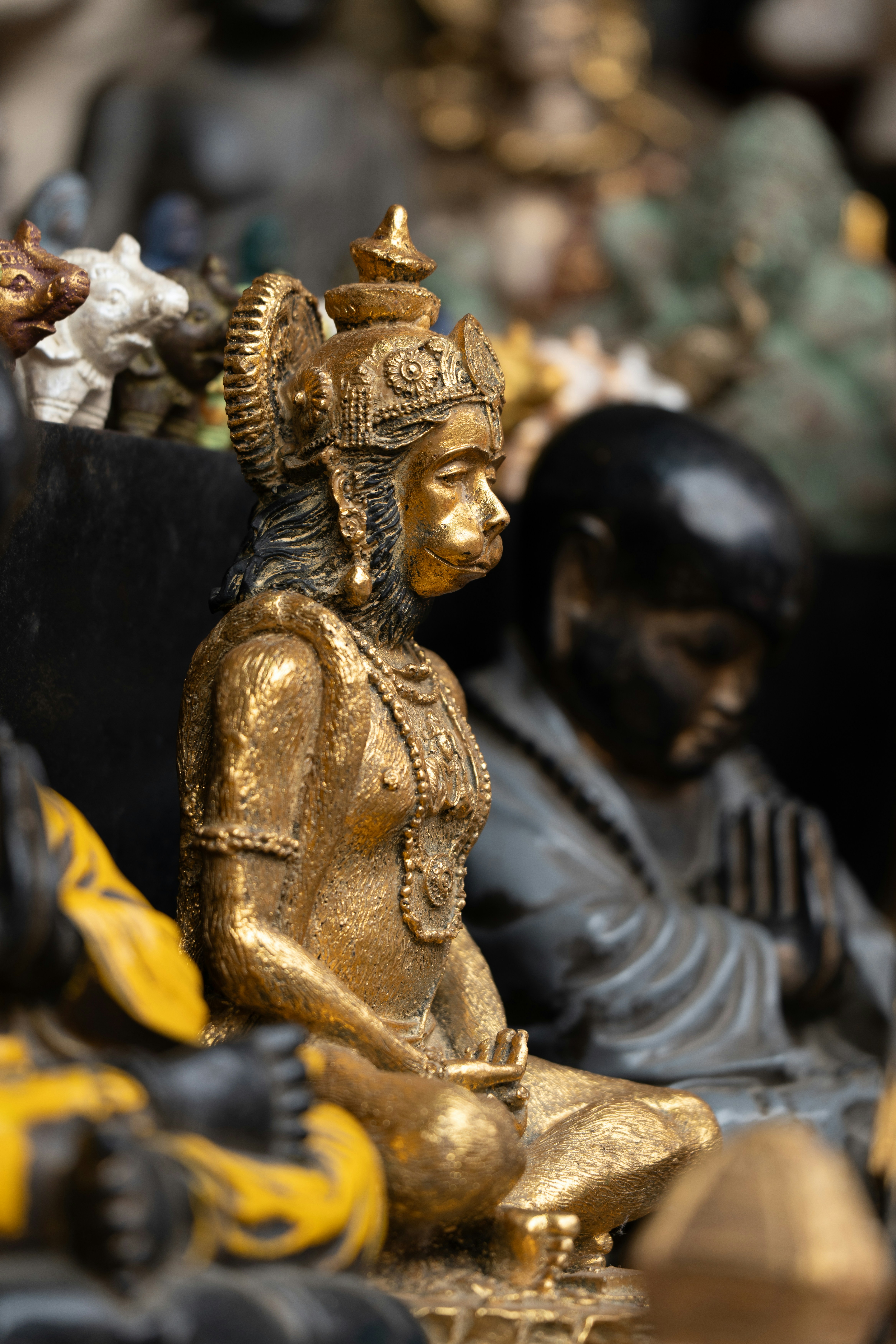 Photo by Happysurd Photography with Sony Alpha 7 IV