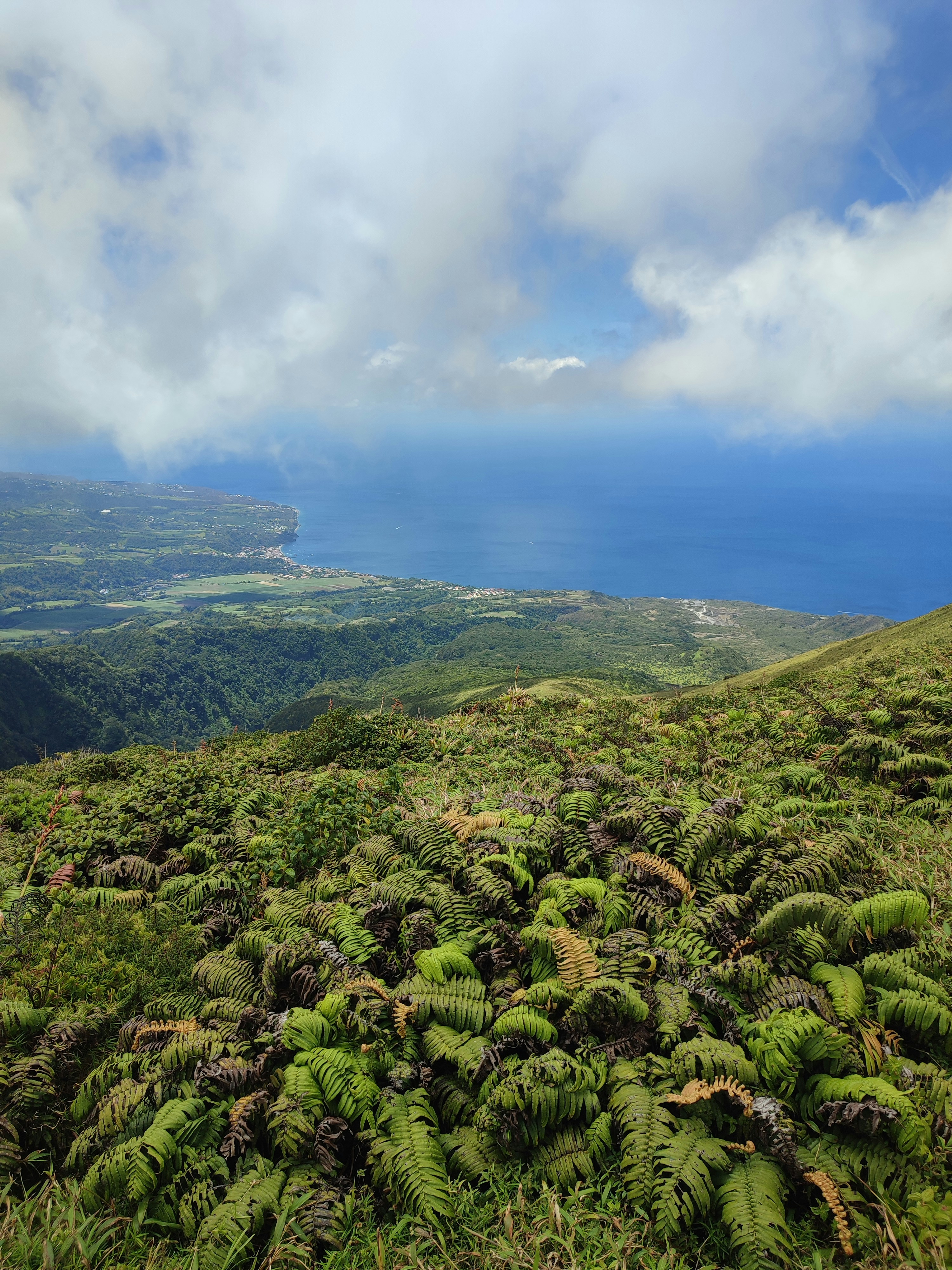 Photo by Anton B with Redmi Note 10 Pro