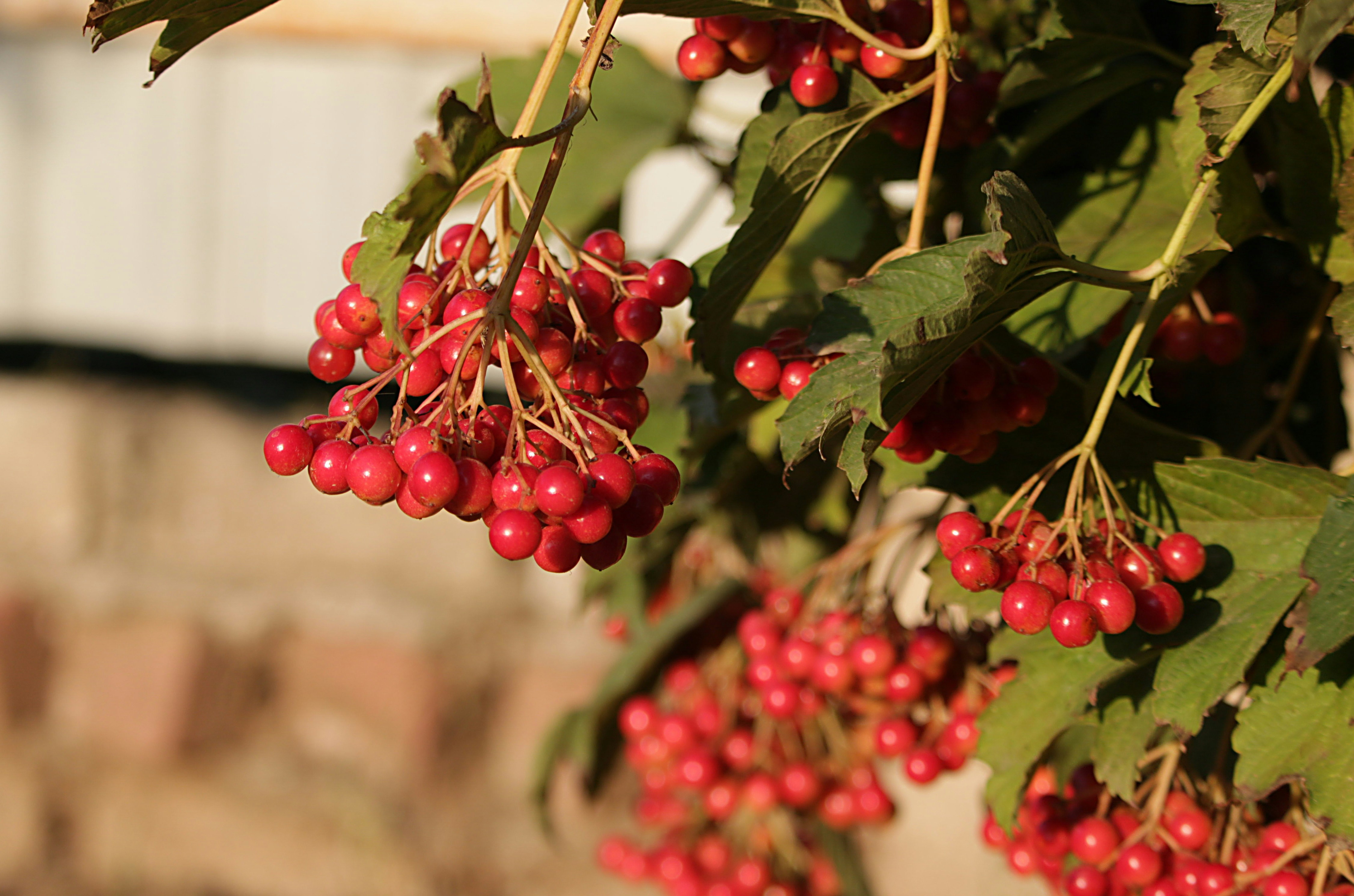 Photo by DMYTRO HERMAN with Canon EOS 2000D