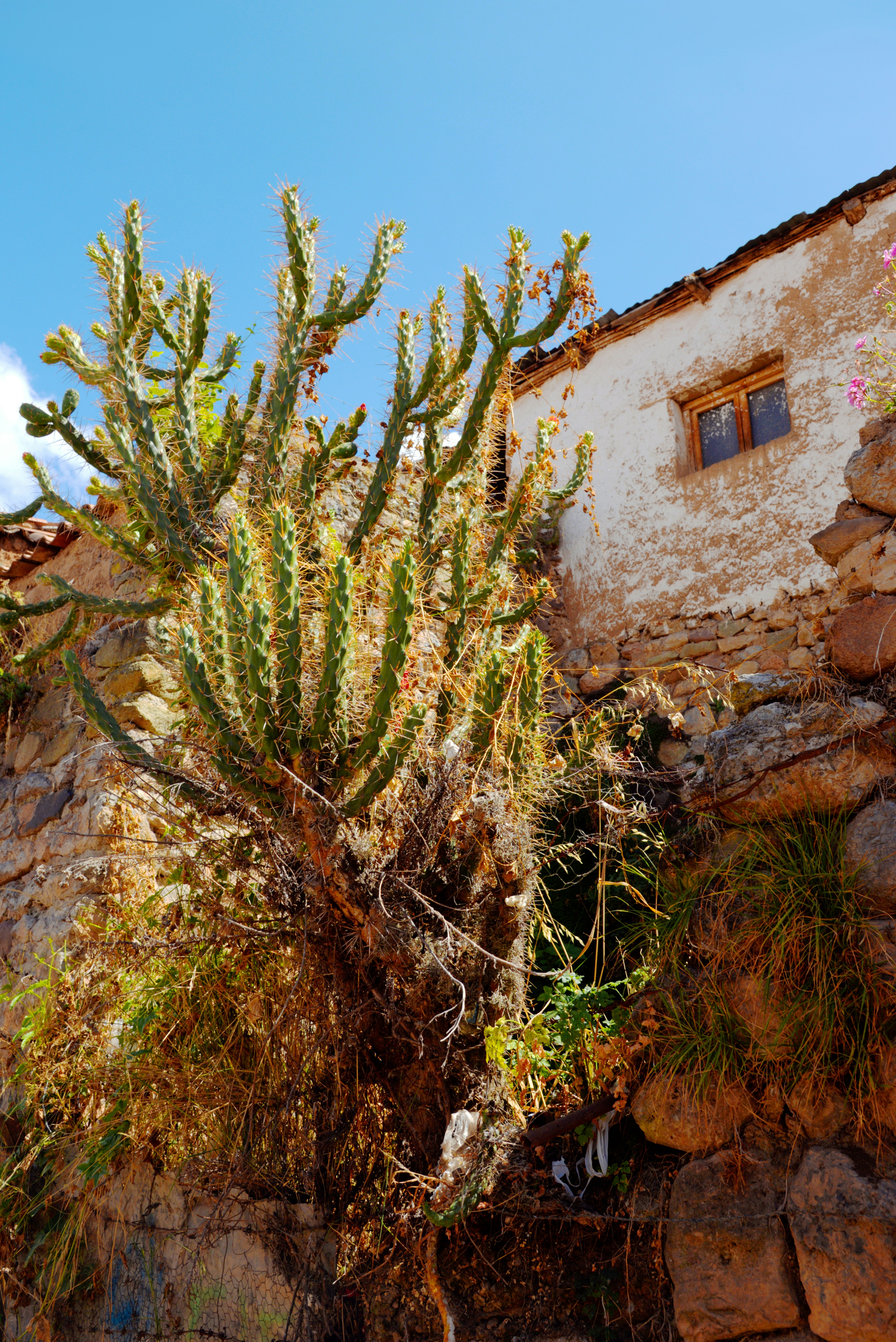 Photo by LARAM with Nikon D610