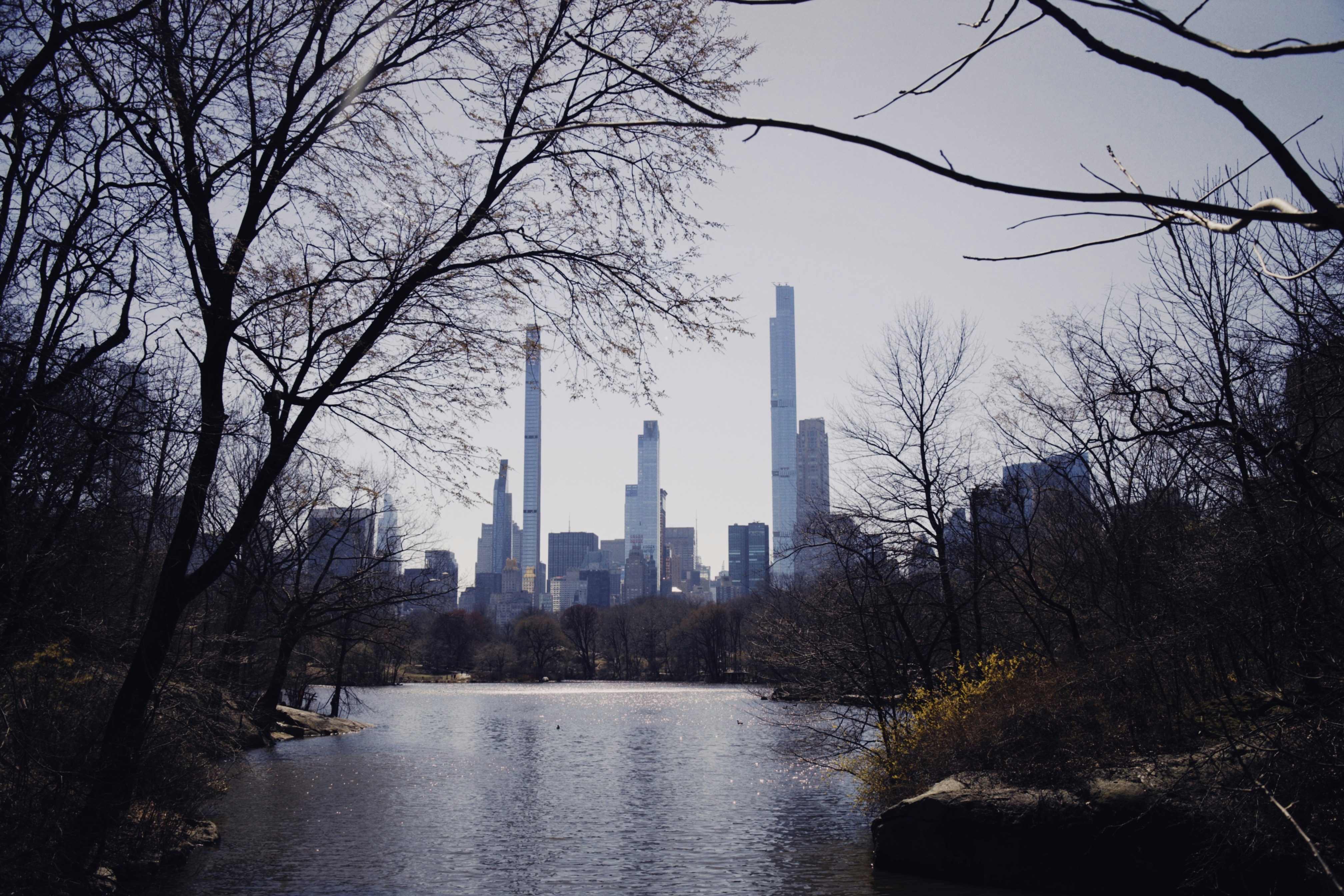 A body of water surrounded by trees and tall buildings photo – Free ...