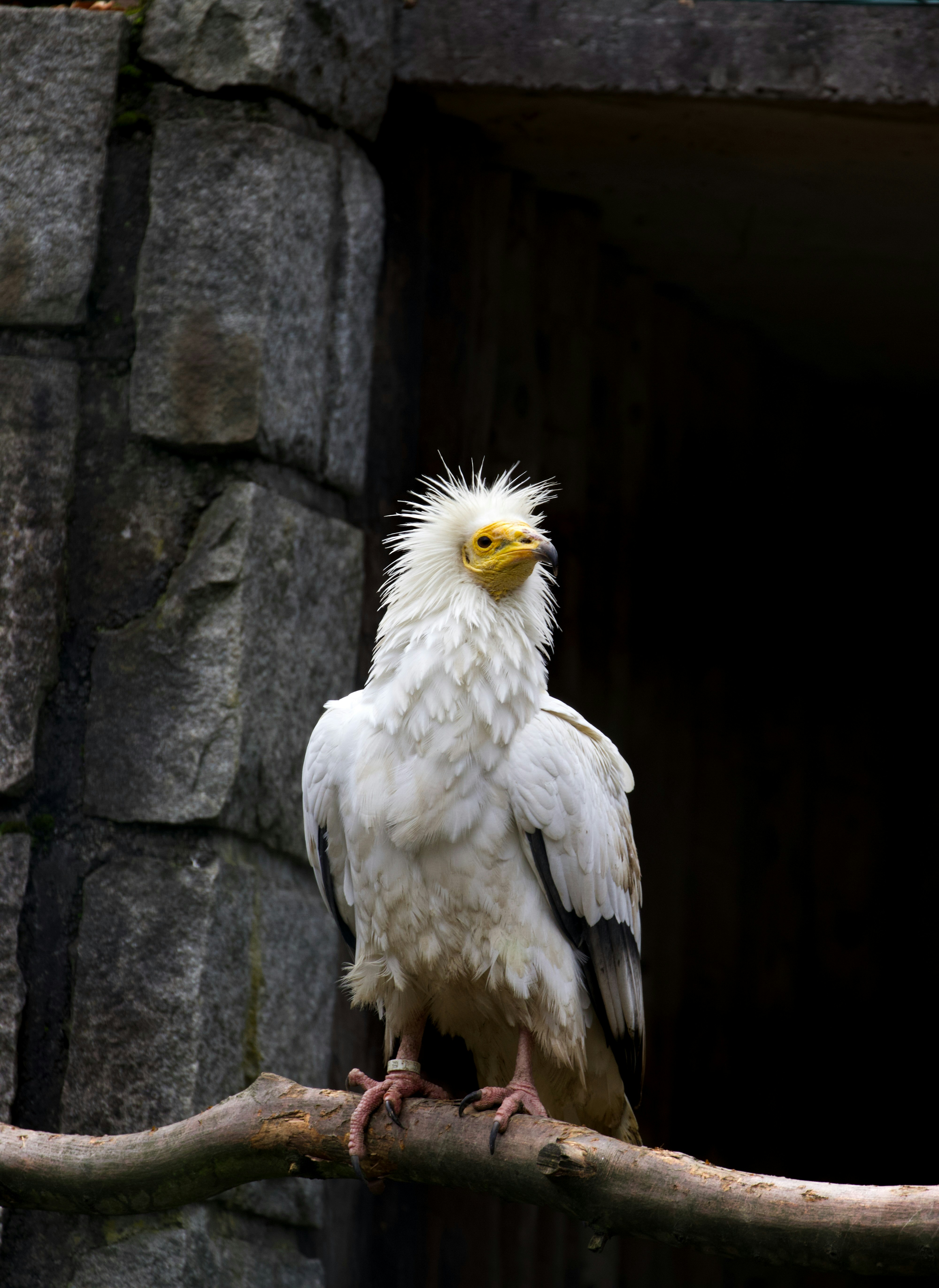 Photo by Jakub Neskora with Canon EOS 250D