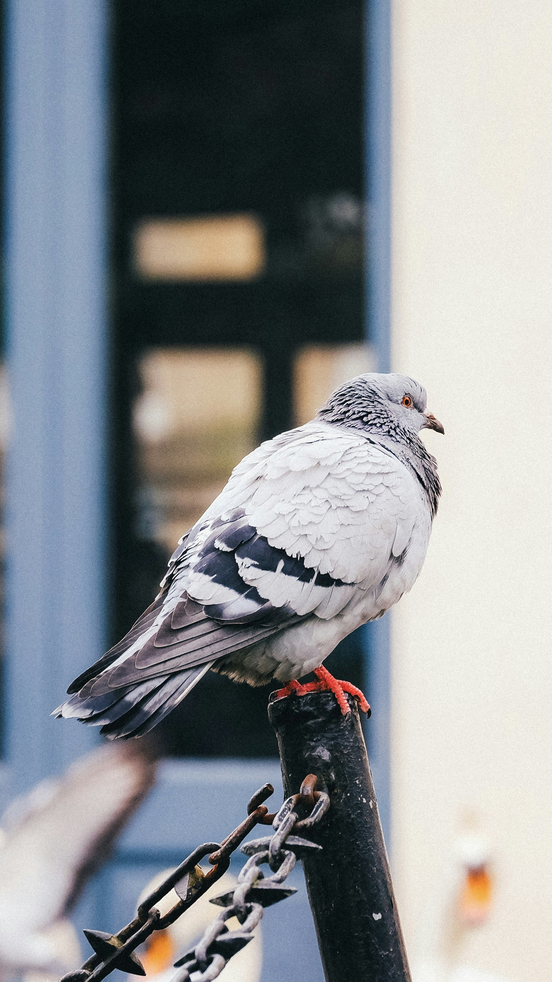 Photo by Nik with Fujifilm X-T1