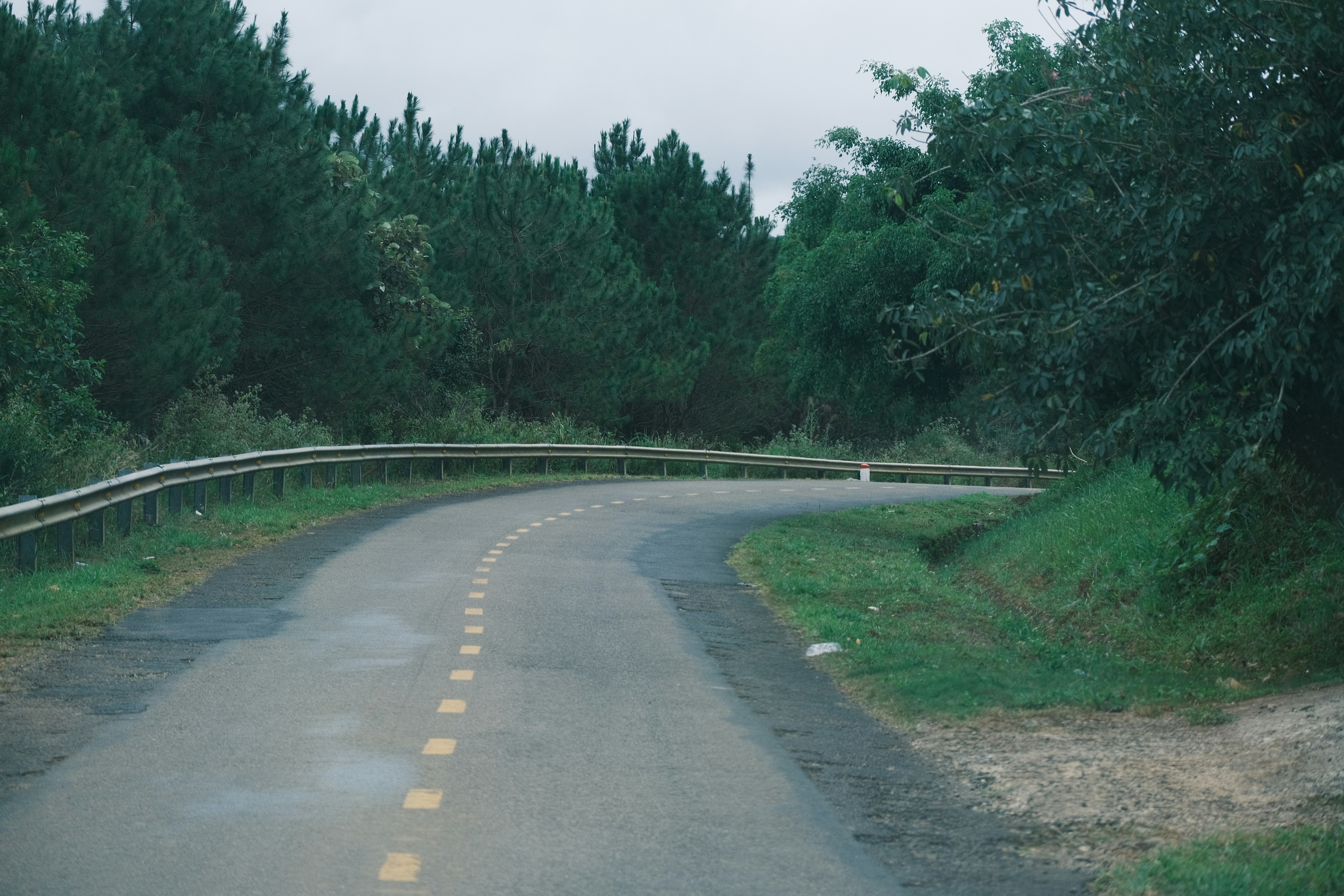 Une route sinueuse au milieu d’une forêt photo – Image gratuite de Gris ...