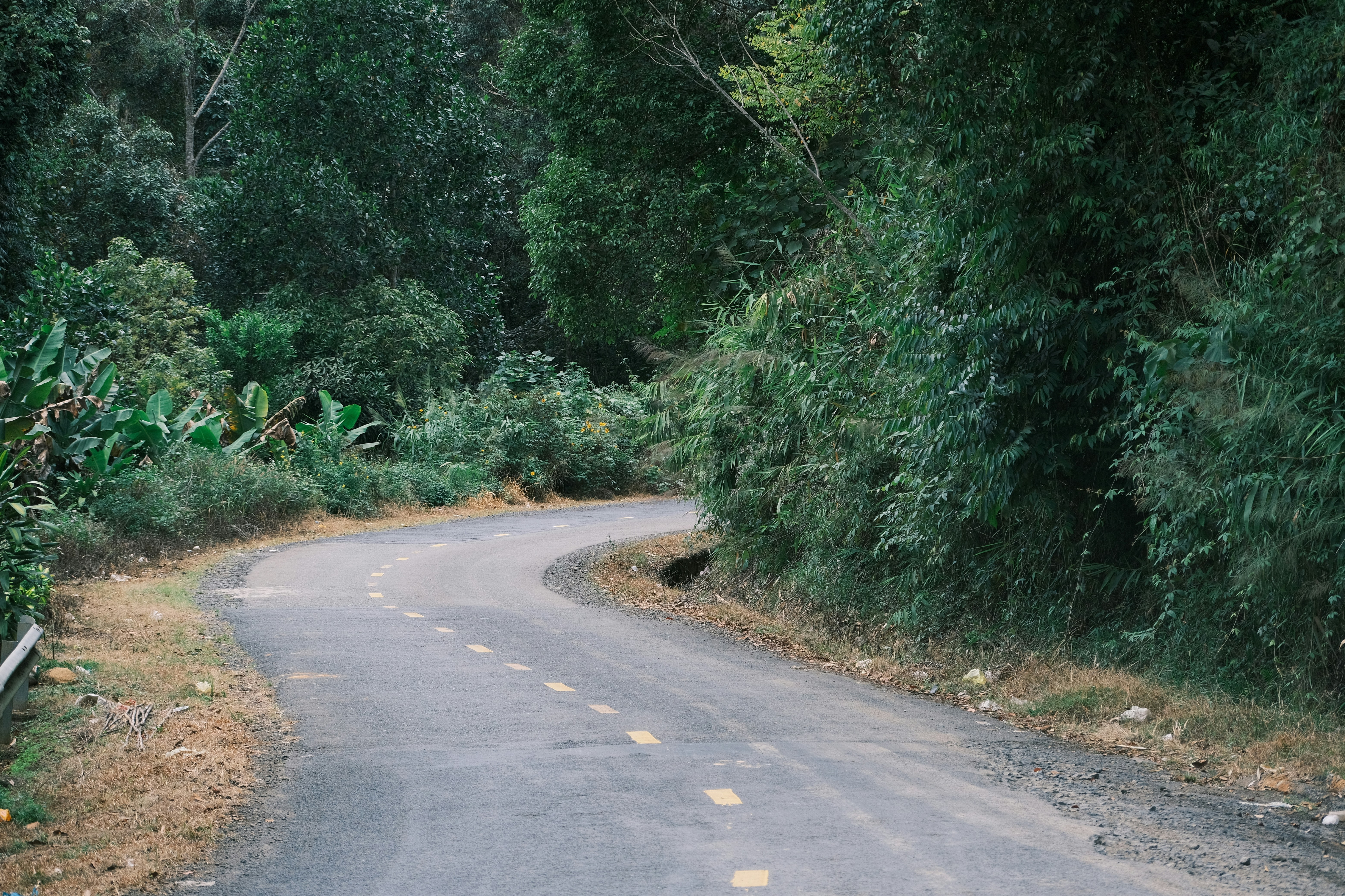 Photo by Duc Van with Fujifilm X-T30 II