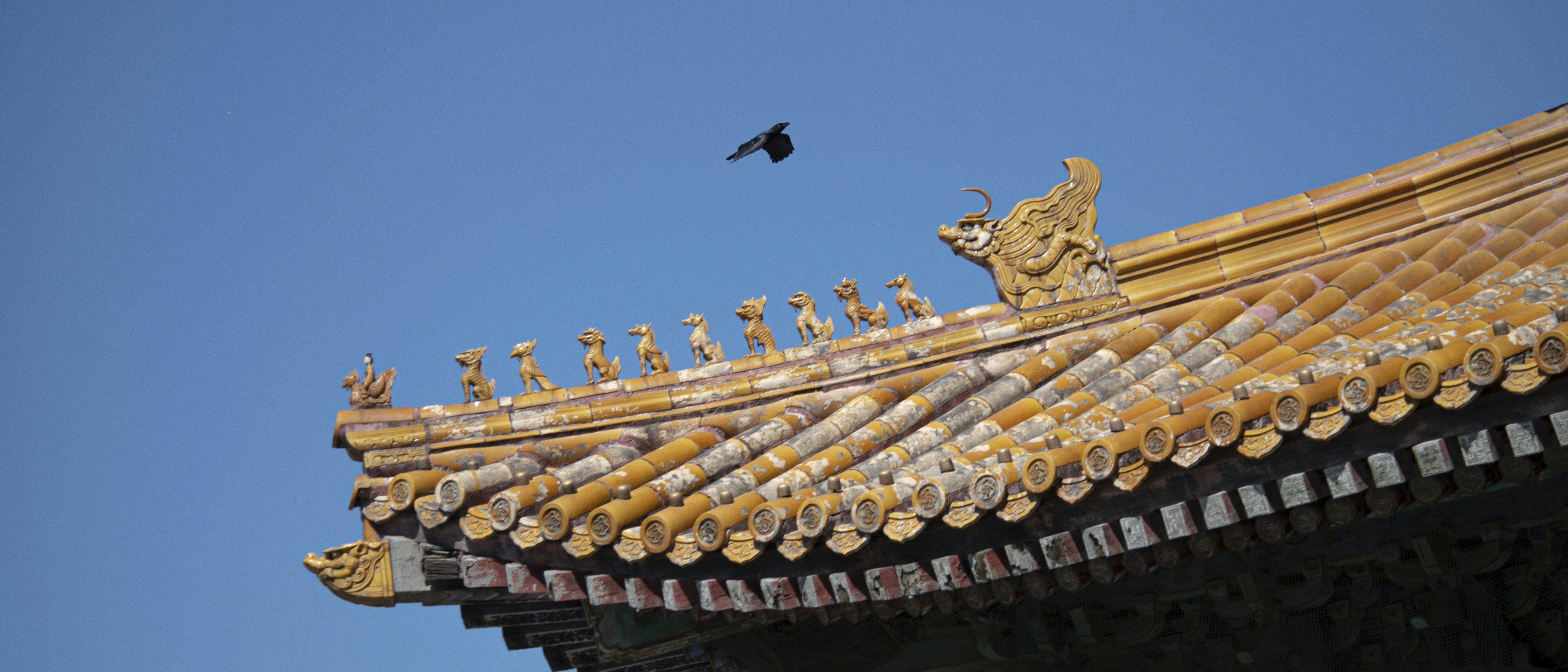 A lone bird soars above the ornately tiled roof of a traditional building, with decorative figures along the eaves against a clear blue sky.