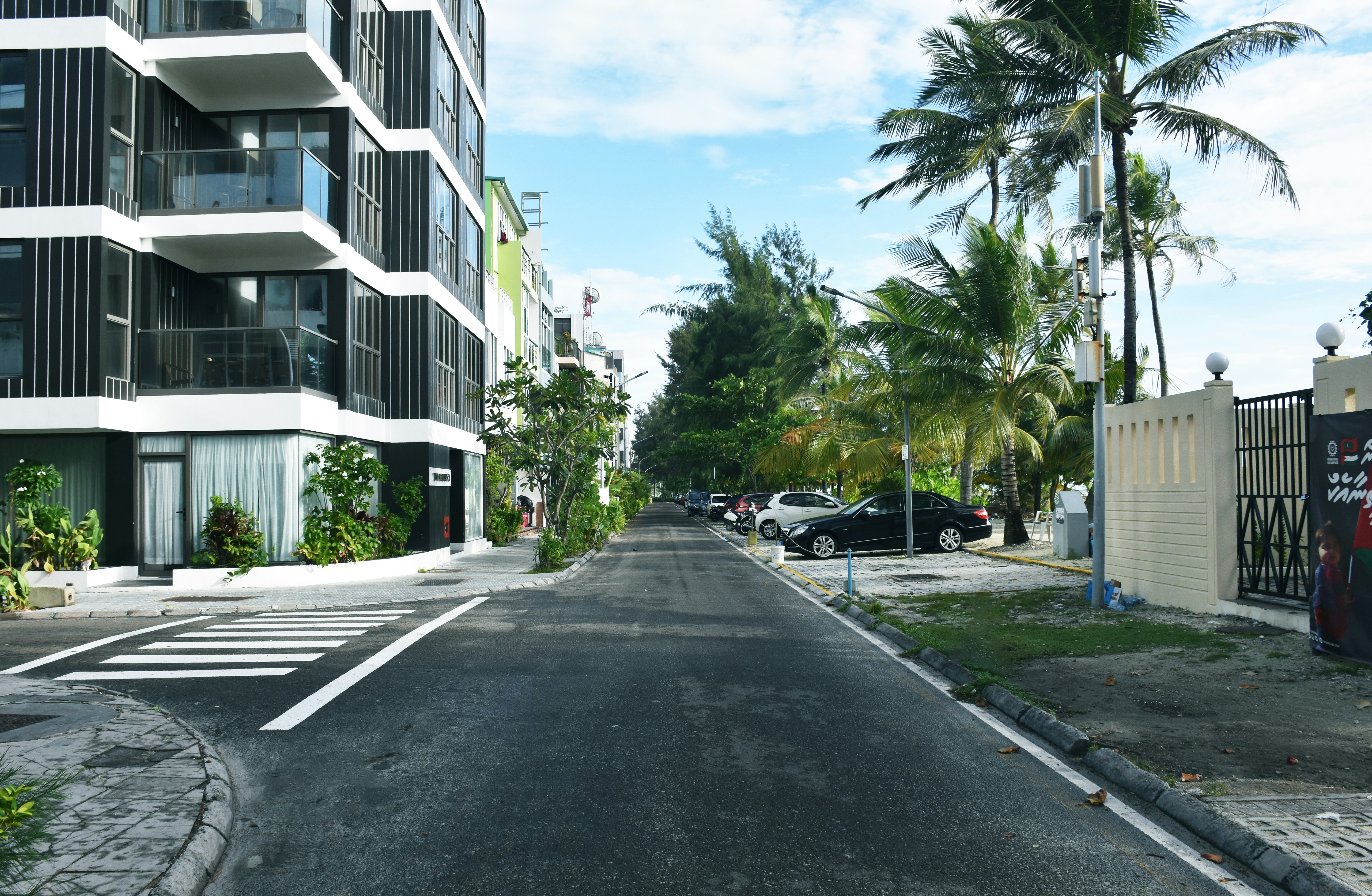 Urban Street Vistas: Modern Facades Meet Palm-Shaded Road
