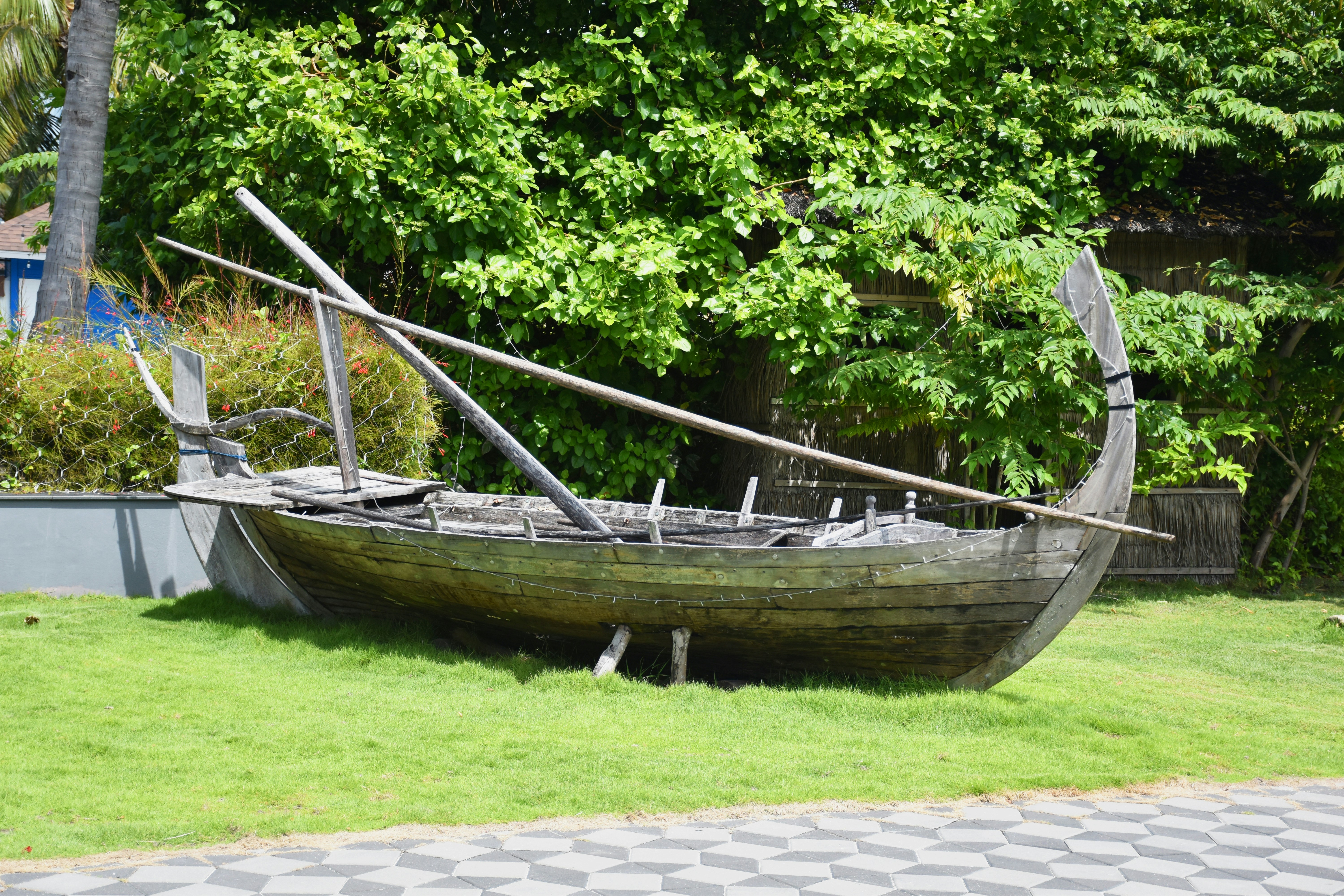 Resting Longship: A Weathered Boat Under Green Canopy