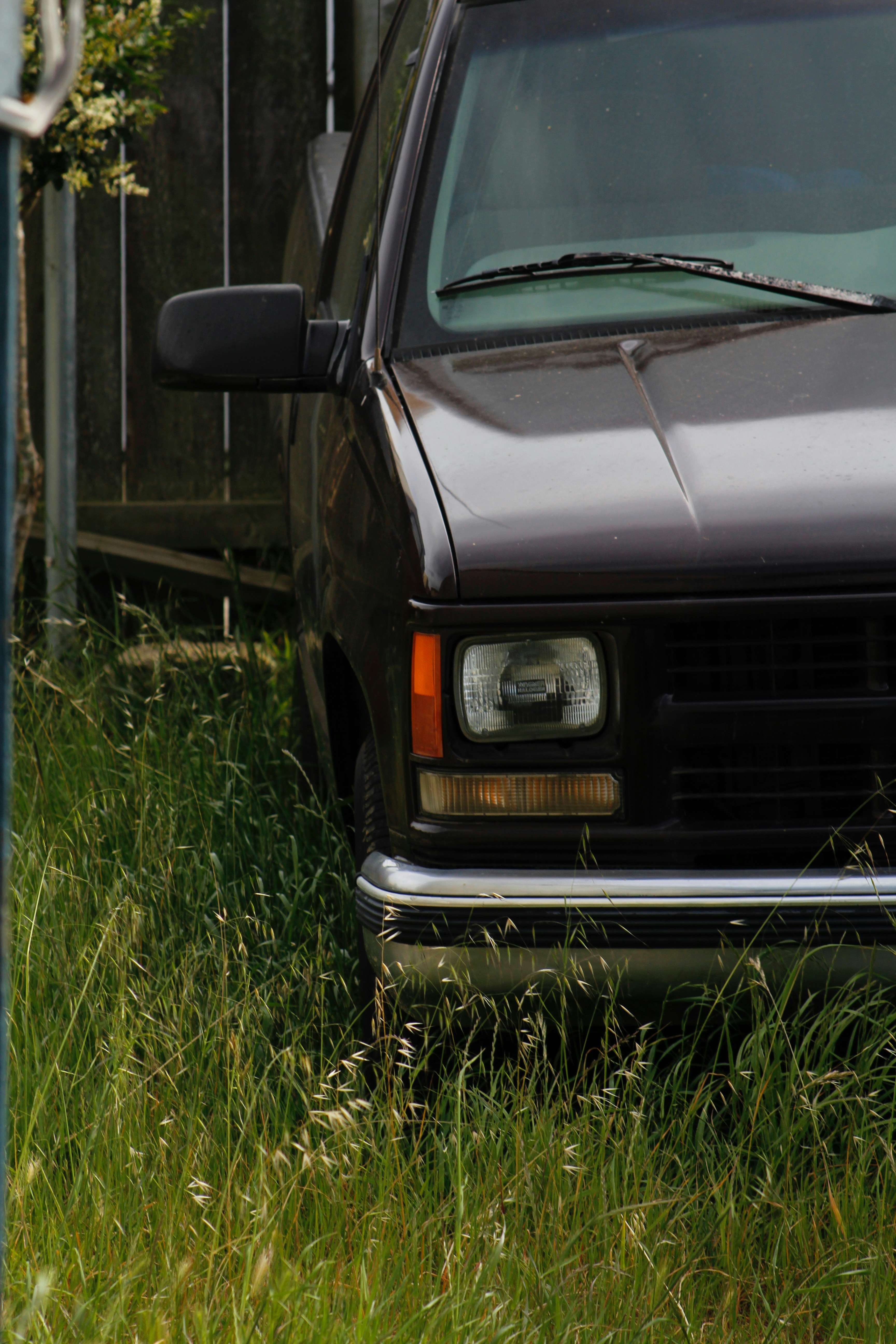Hidden in the Meadow: A Weathered Van Peeking Through Tall Grass