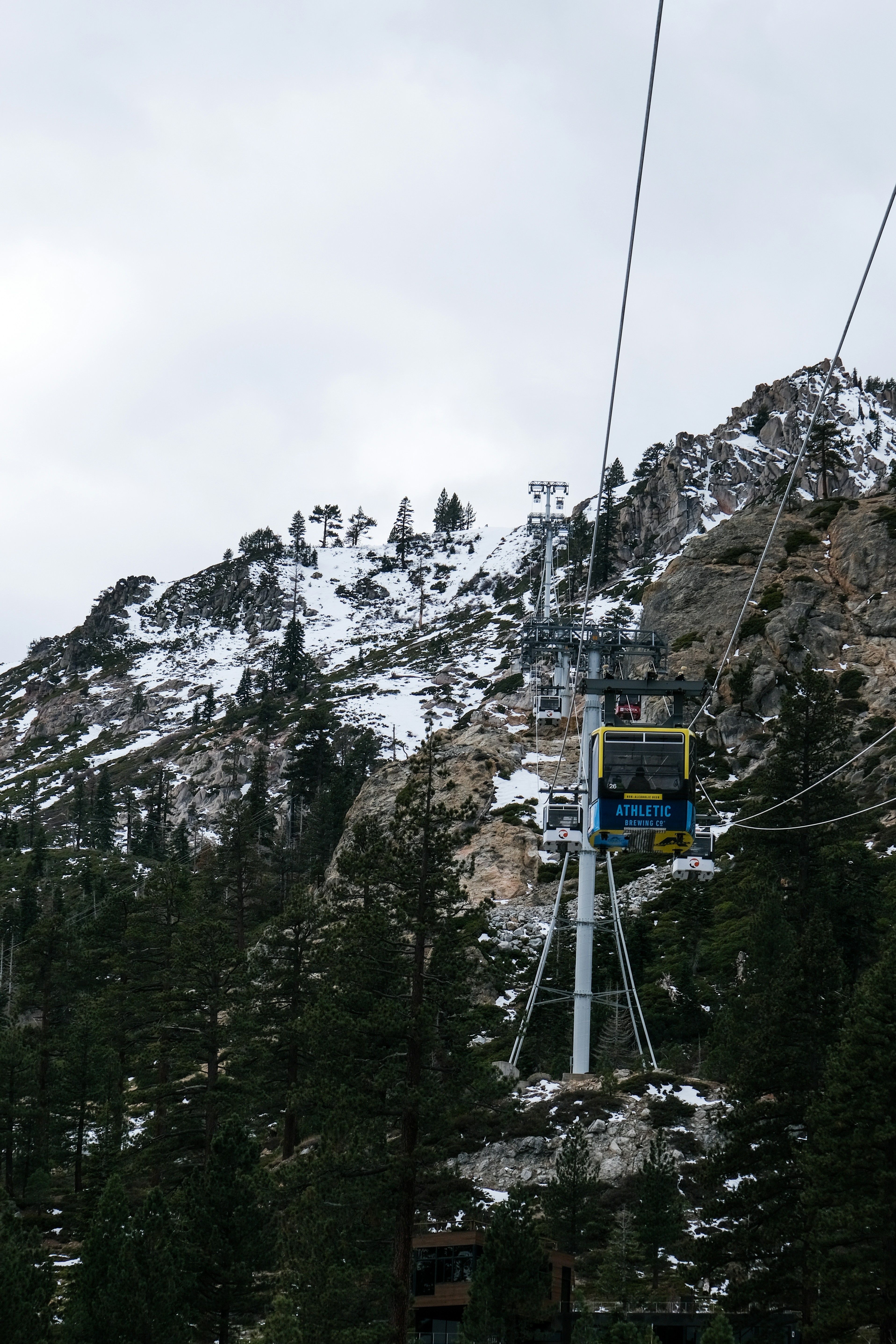 Ascending Along the Snow-kissed Ridge: A Cable Car Through the Pines