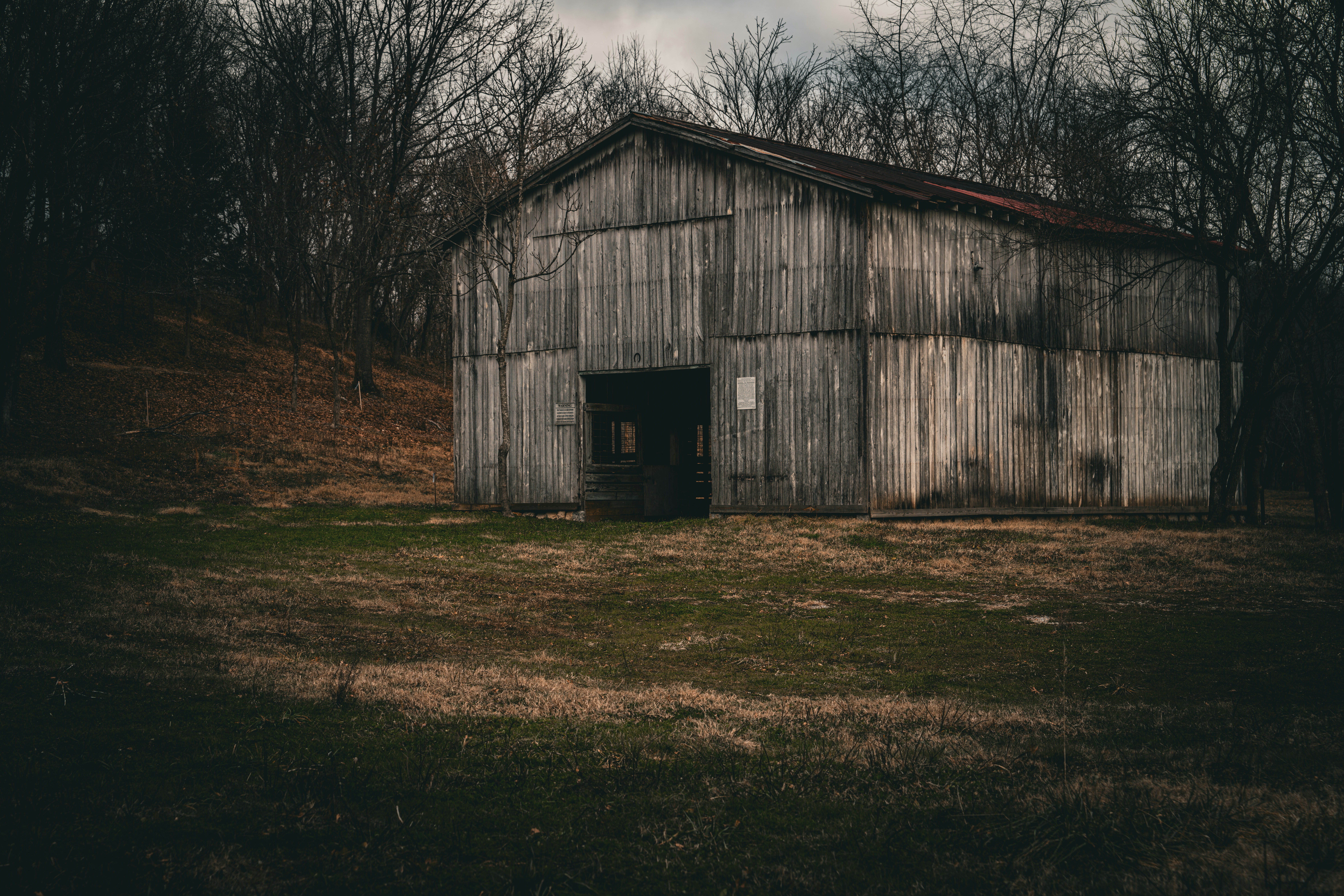 Weathered barn stands resilient against a backdrop of barren trees and muted earth tones, evoking a sense of nostalgia. 