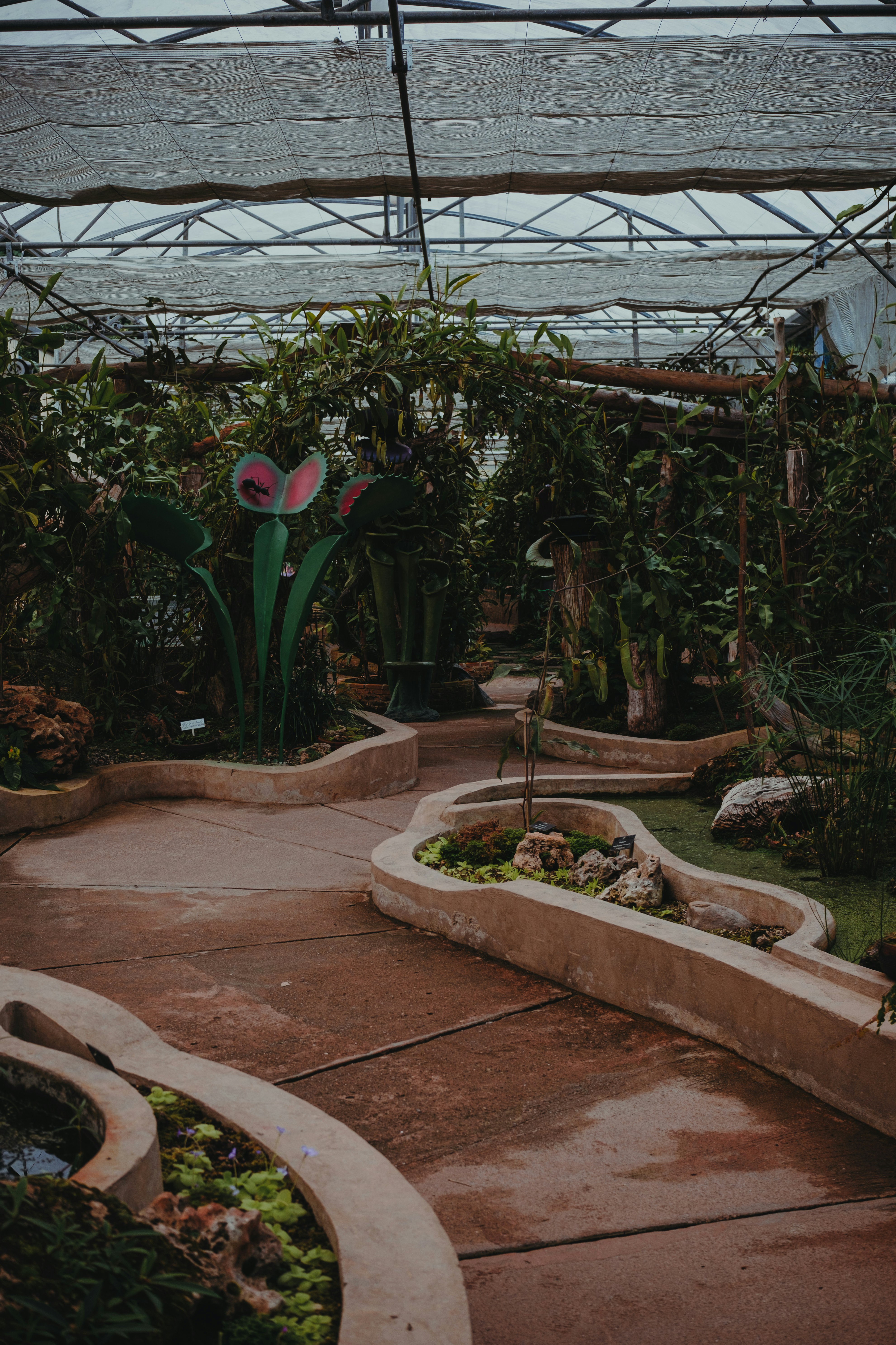 Whimsical Pink Bloom Anchoring a Winding Greenhouse Trail