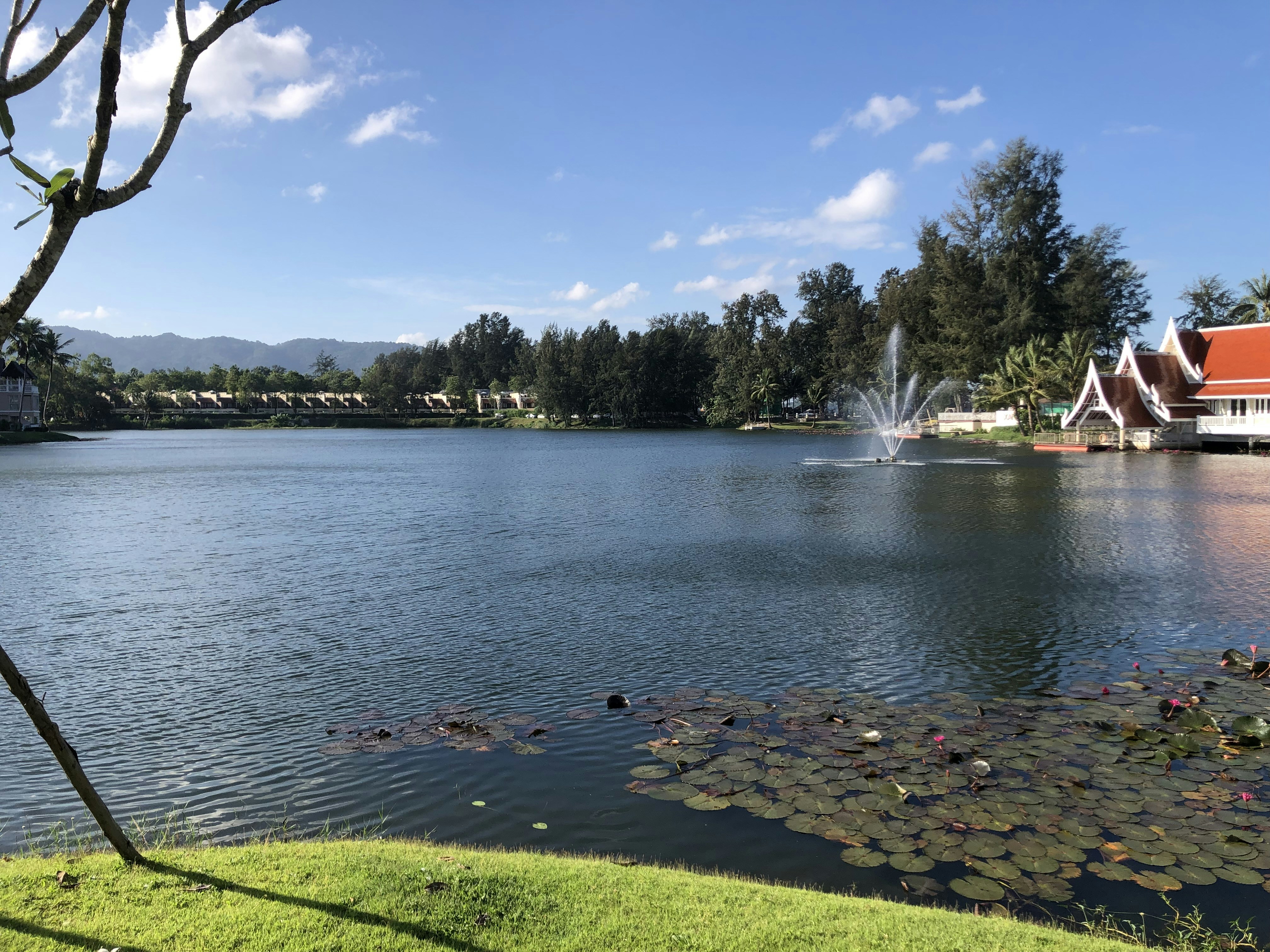 Serenity by the Water's Edge