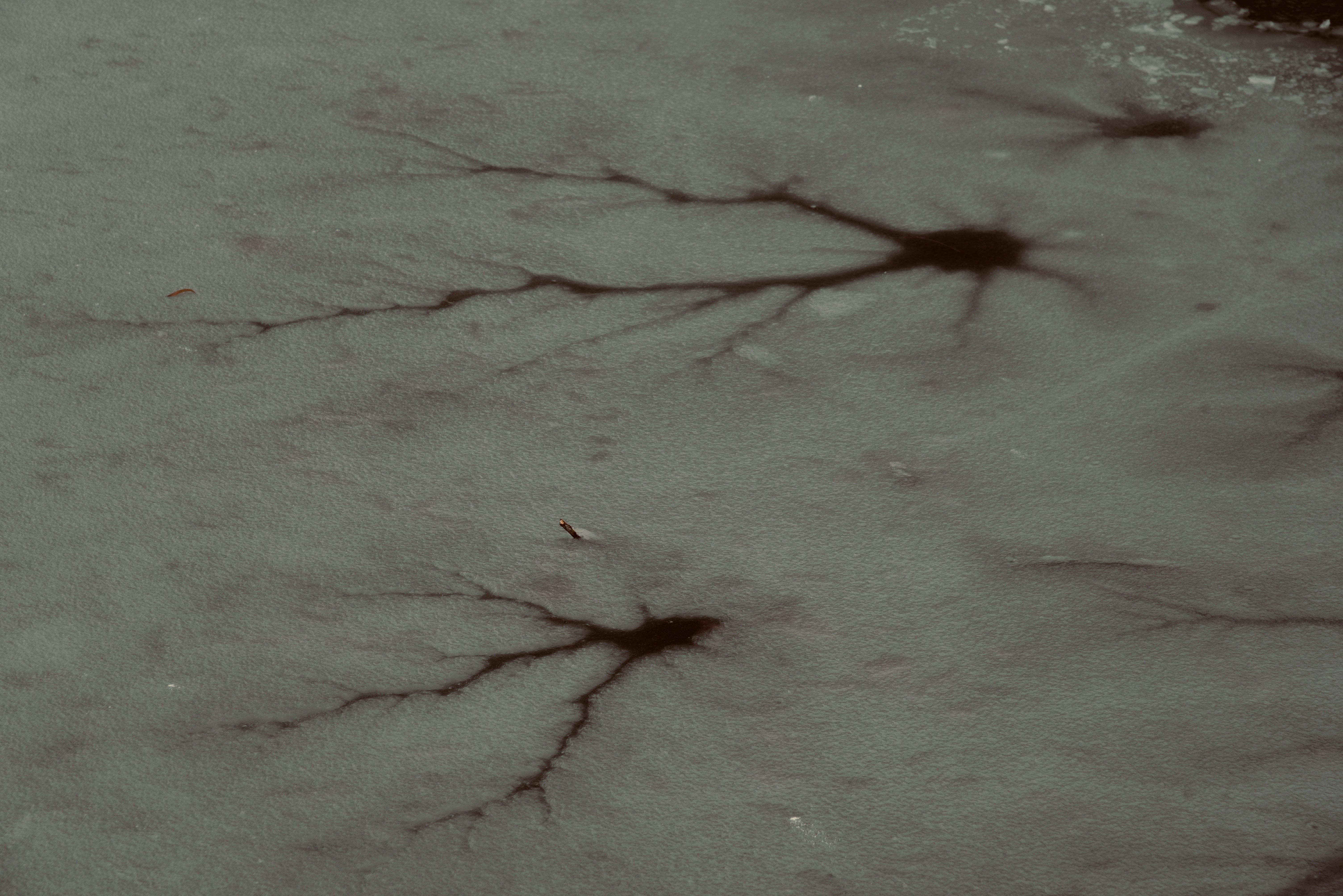 Darkvein Patterns on Quiet Ground