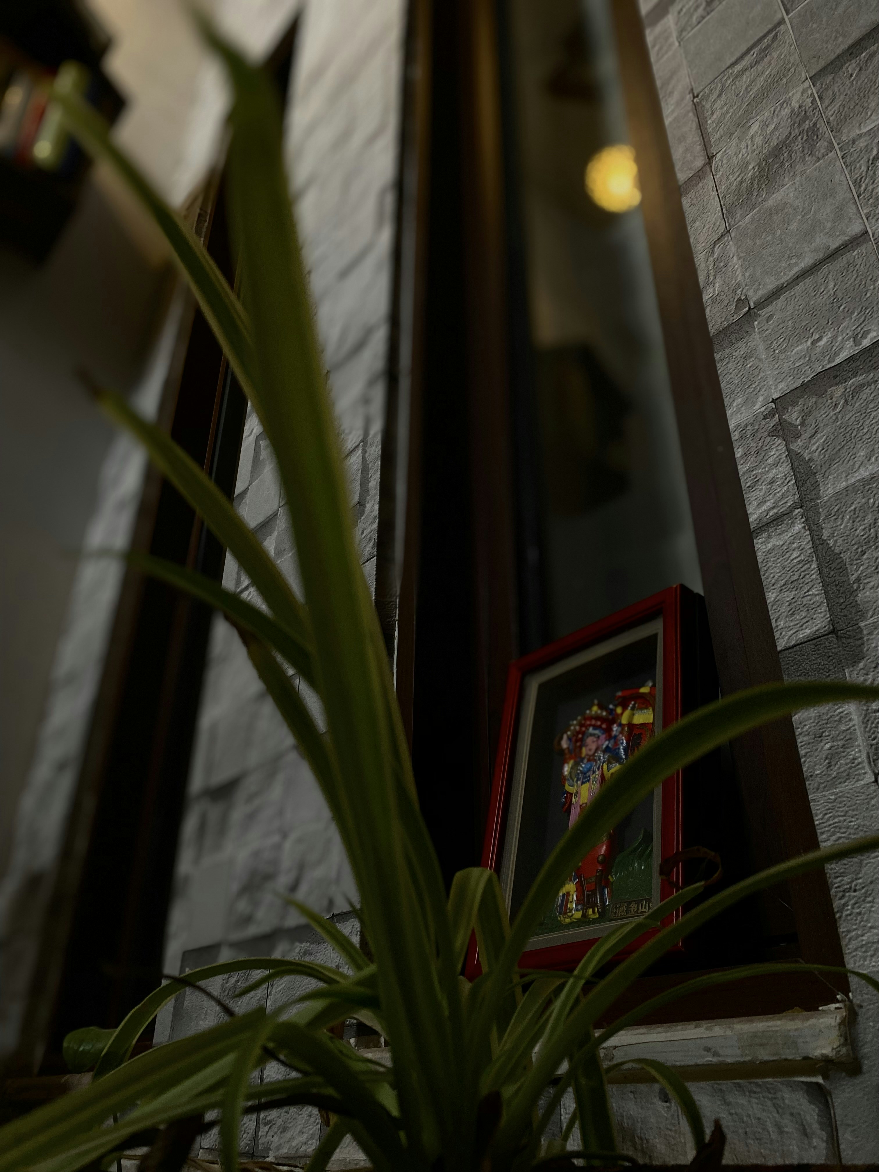 Red Frame Among Green Tendrils: A Dim Windowsill Study