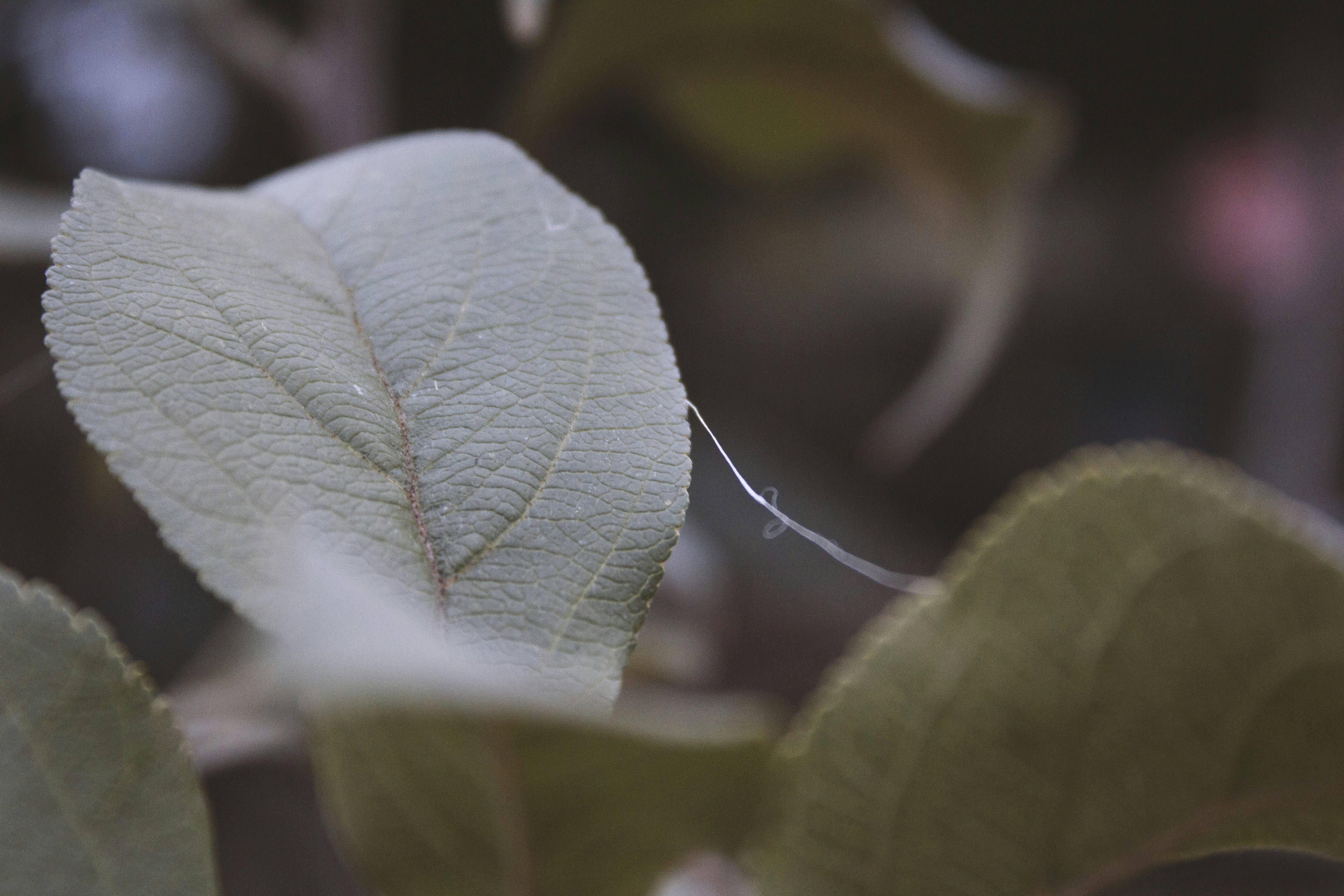 Photo by Carolina with Canon EOS 650D